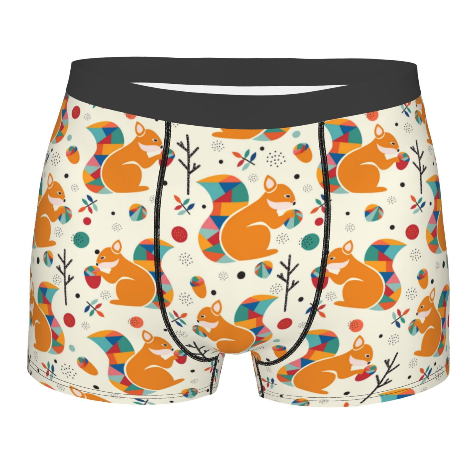 JUNZAN Squirrel With Colorful Tail Mens Underwear Boxer Briefs for Men ...