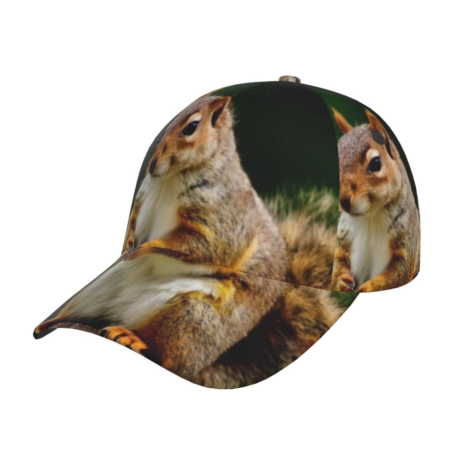 JUNZAN Squirrels Eating Peanuts On The Tree Print Baseball Cap,Unisex ...