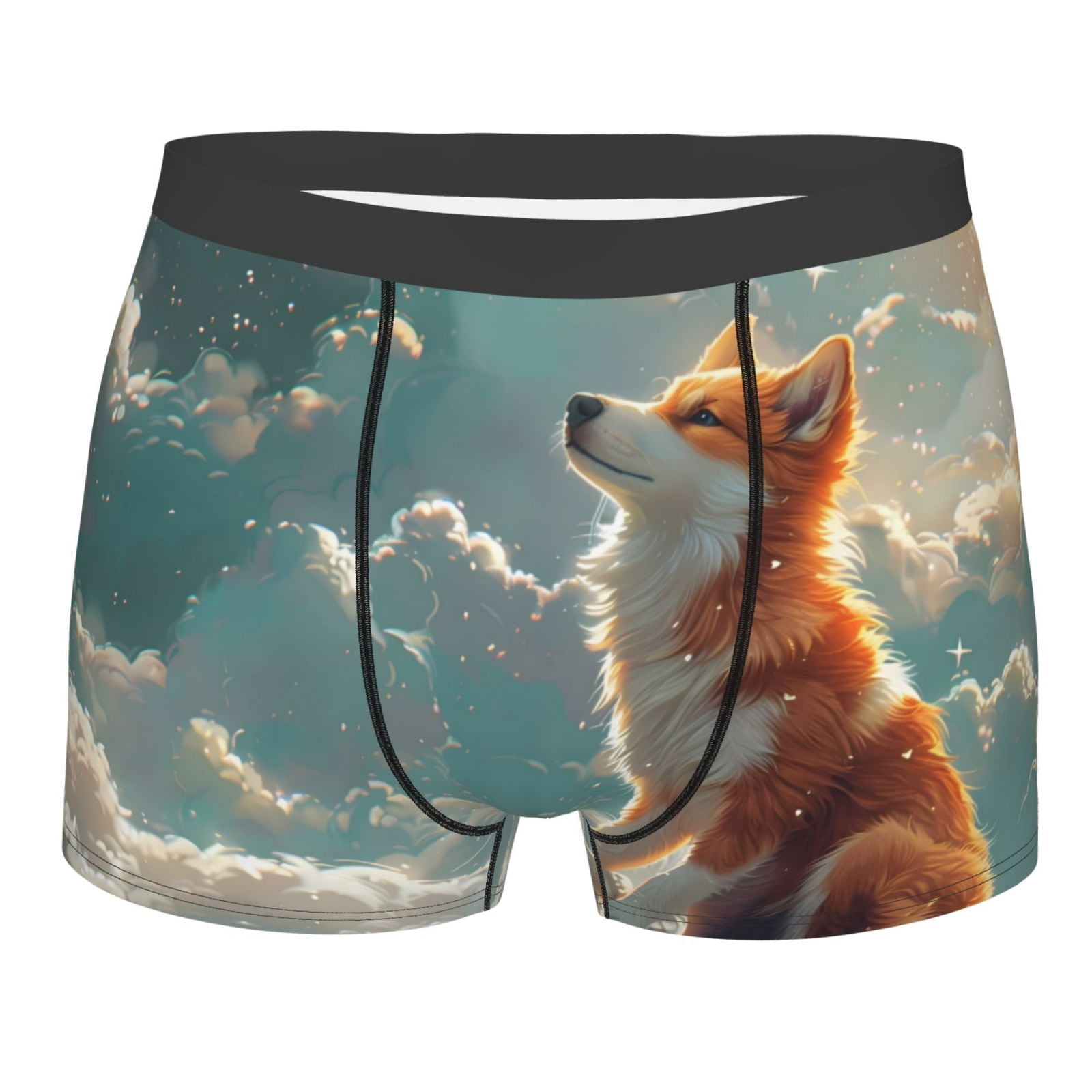 JUNZAN Starry Sky Cloud Fox Mens Underwear Boxer Briefs for Men’s ...