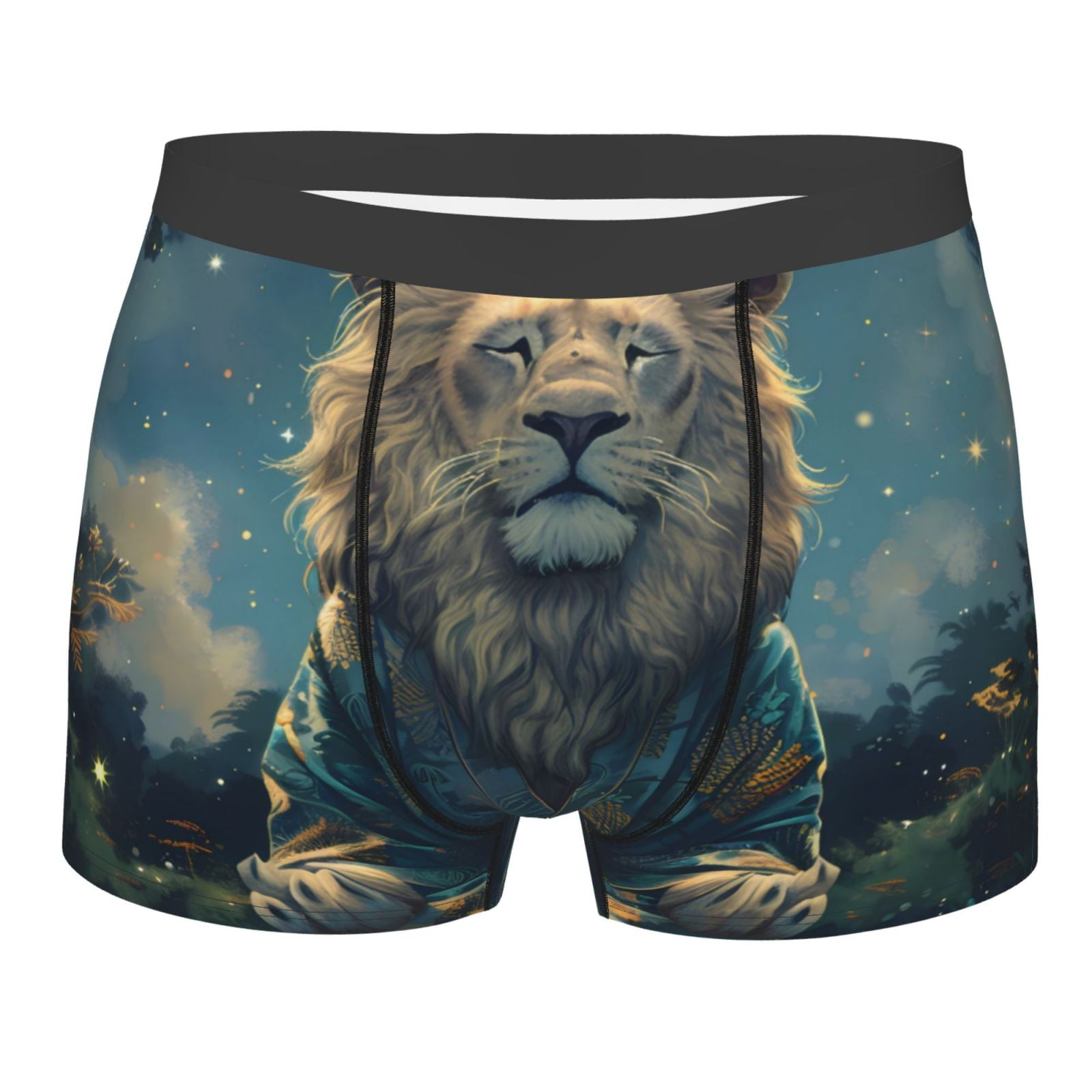 JUNZAN Starry Sky Meditating Lion Mens Underwear Boxer Briefs for Men’s ...