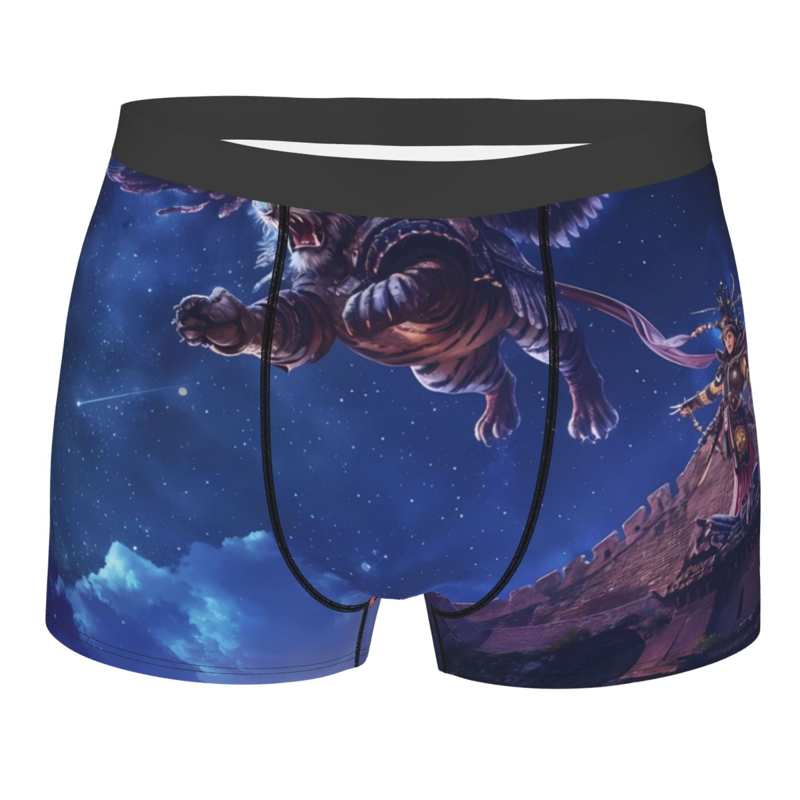 JUNZAN Starry Sky Wall Flying Tiger Mens Underwear Boxer Briefs for Men ...