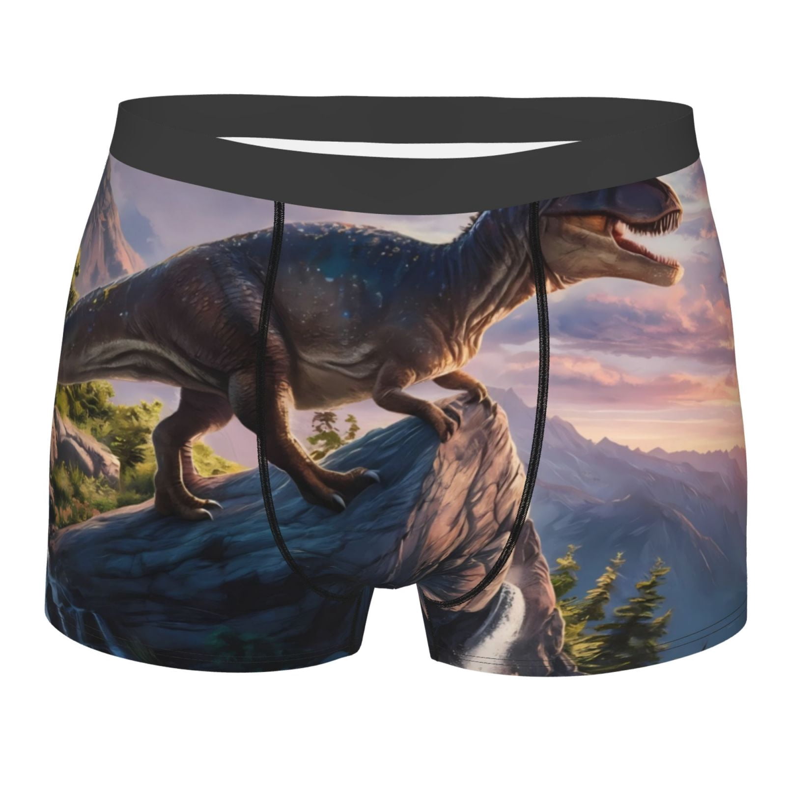 JUNZAN Sunset Cliff Dinosaur Mens Underwear Boxer Briefs for Men’s ...