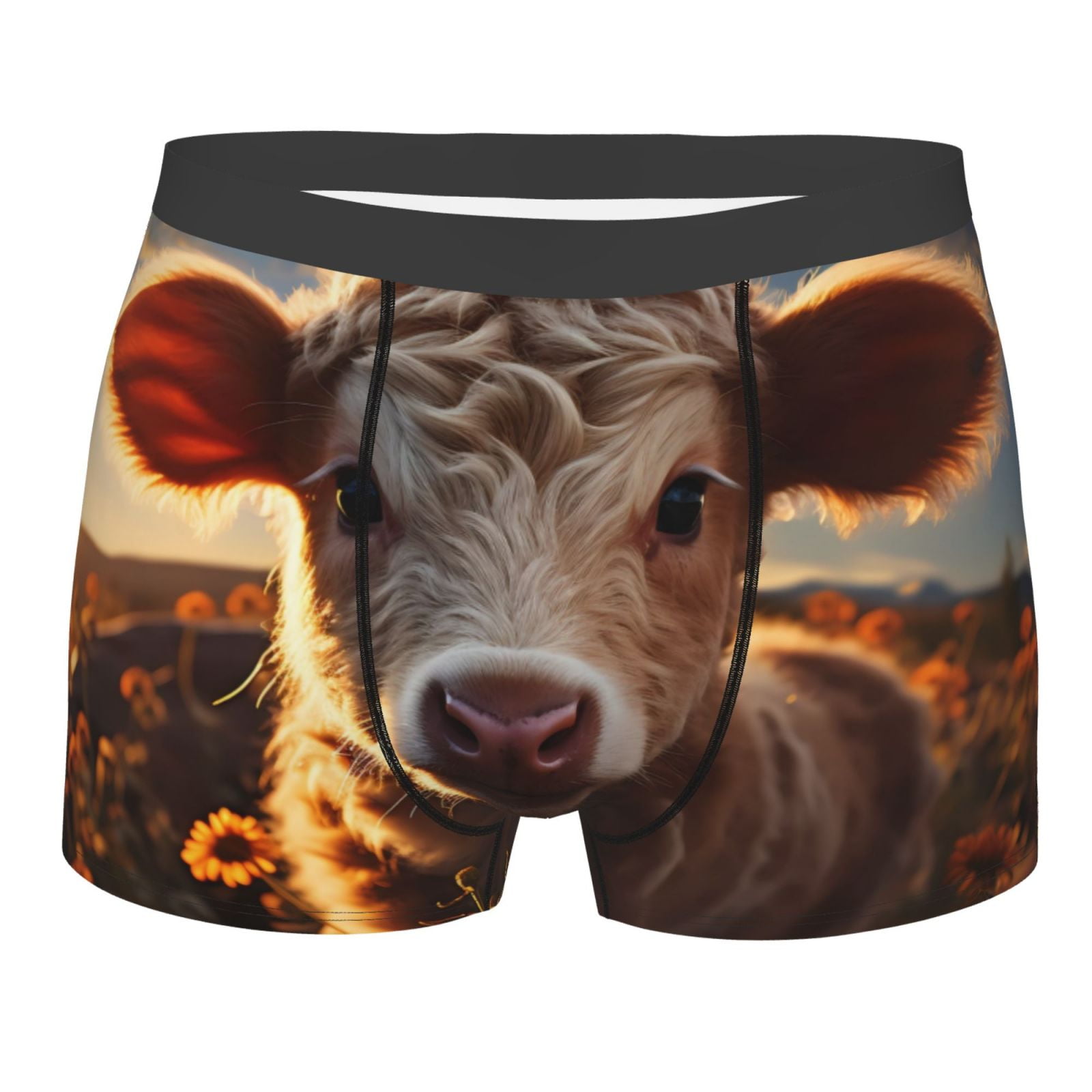 JUNZAN Sunset Sunflower Small Cow Mens Underwear Boxer Briefs for Men’s ...