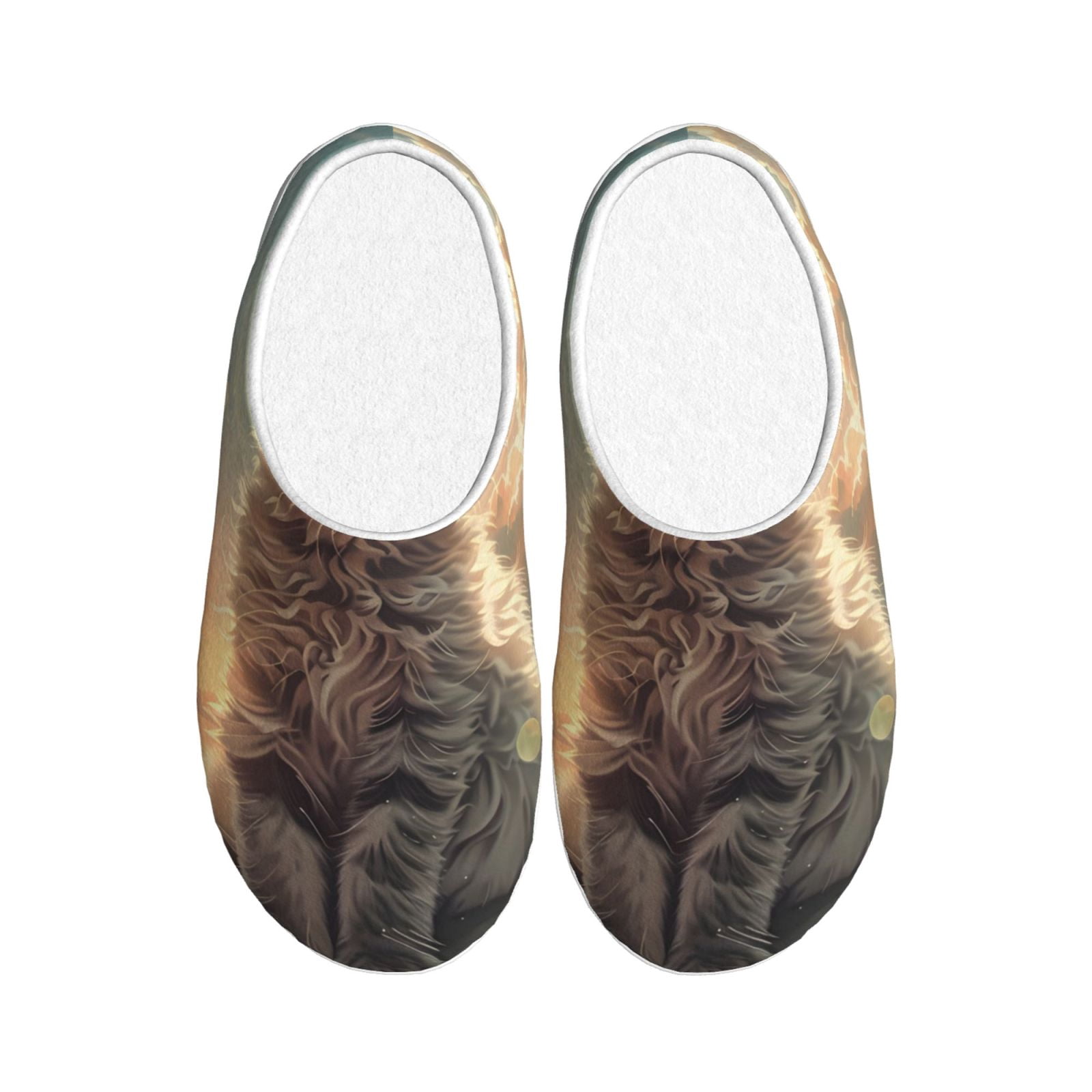 JUNZAN Sunshine Cloud Kitten Print Cozy Slippers for Men& Women,Fuzzy ...