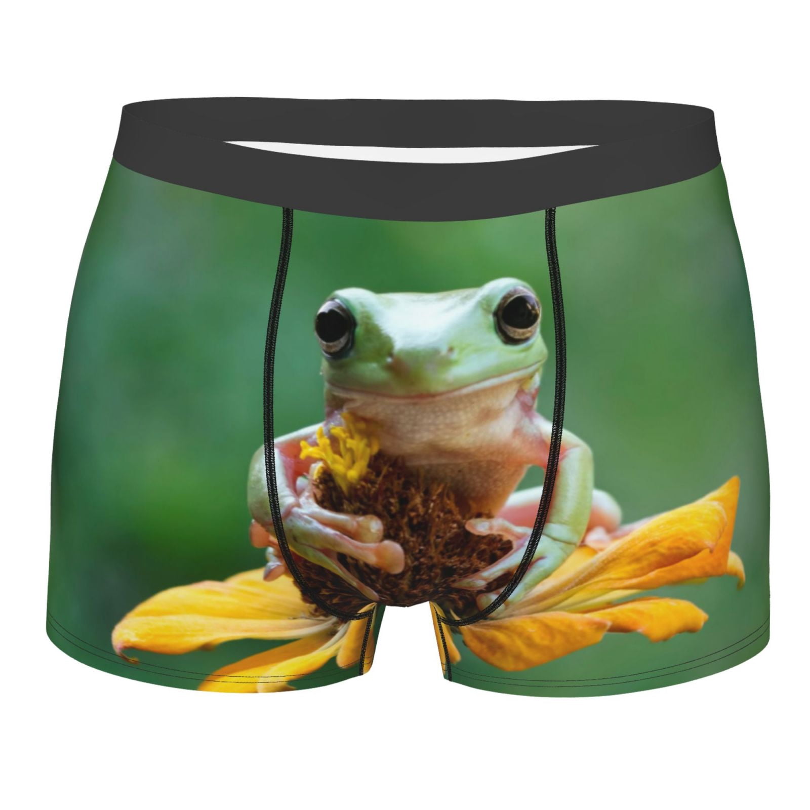 JUNZAN Tree Frog Sitting On Sunflowes Mens Underwear Boxer Briefs for ...