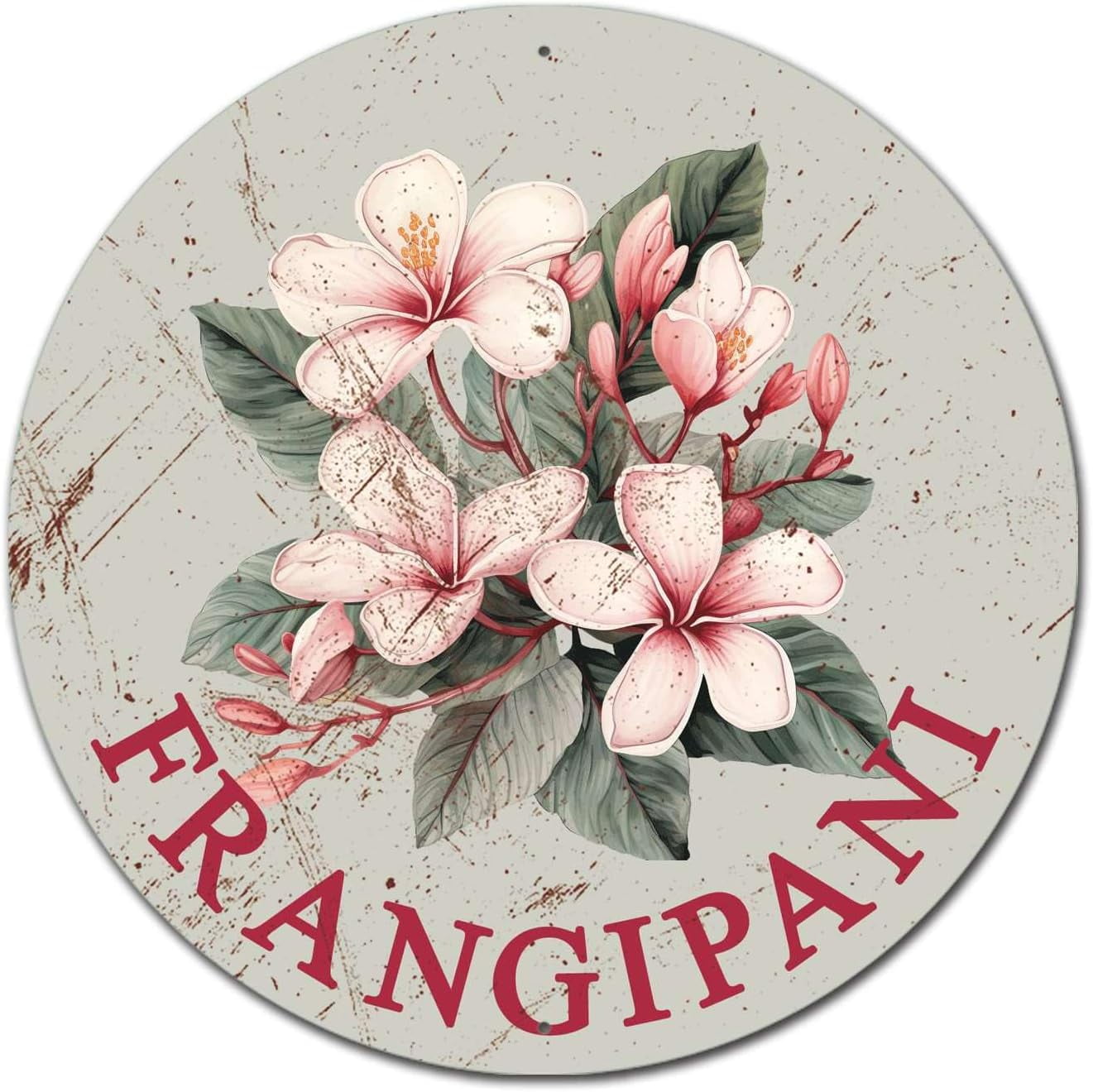 JUSIP 12×12 Inches Round Flower Frangipani Metal Sign Tin Sign Retro ...