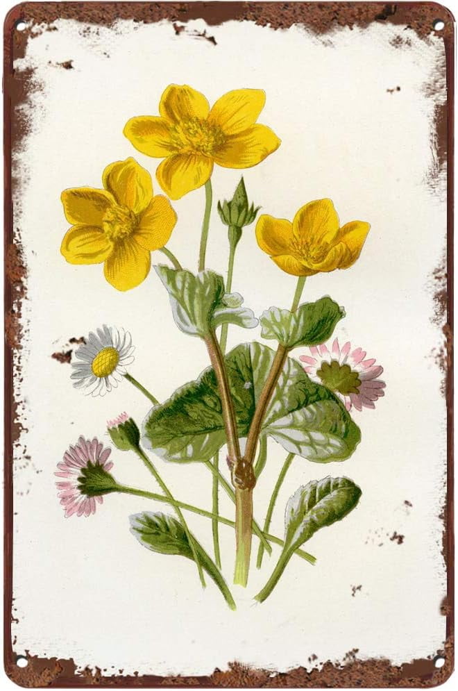 JUSIP 8x12 Inch Daisy & Marsh-Marigold Flowers Metal Thin Signs,Poster ...