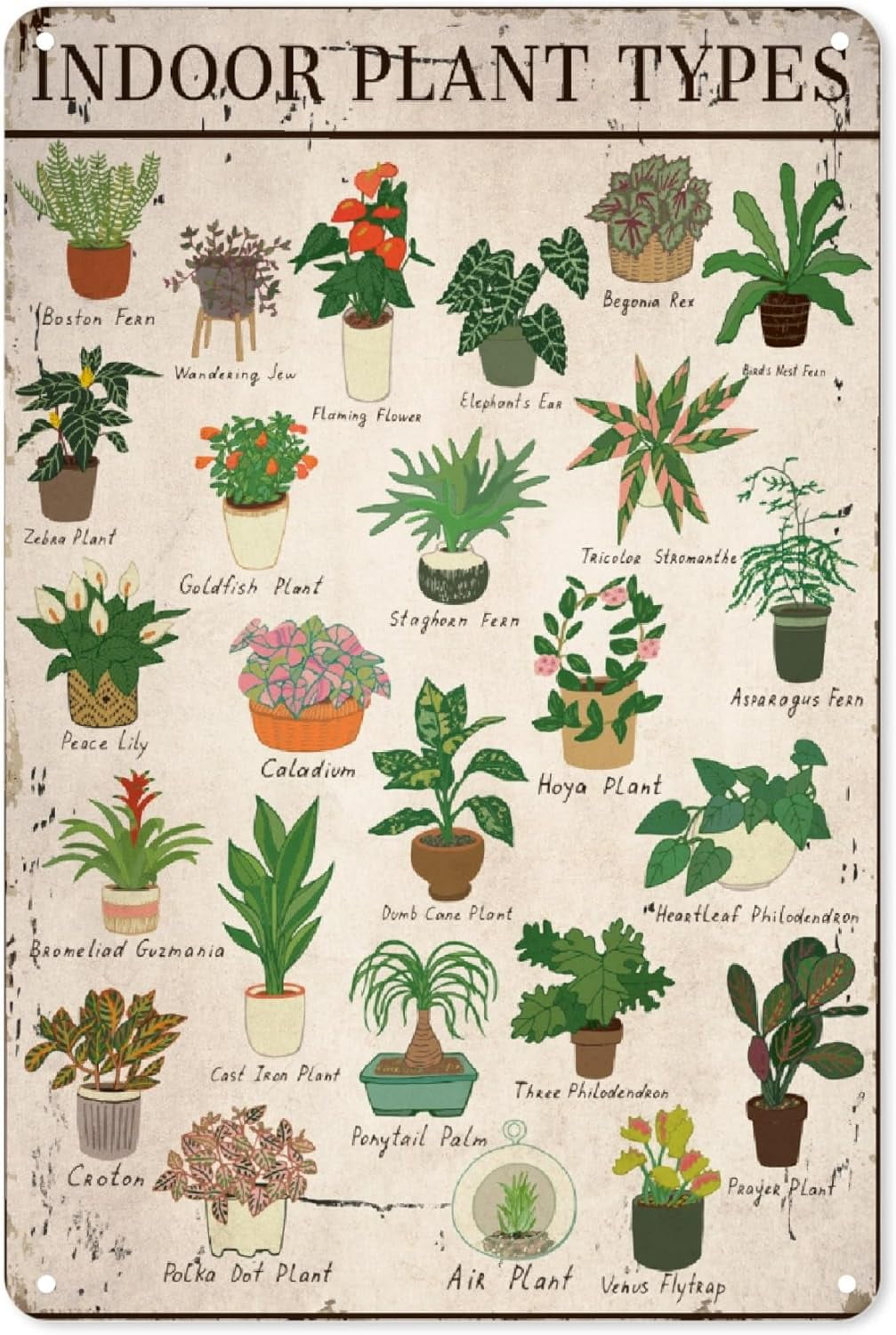 JUSIP 8x12 Inch Plant Types Metal Thin Signs For Home Decor and For ...