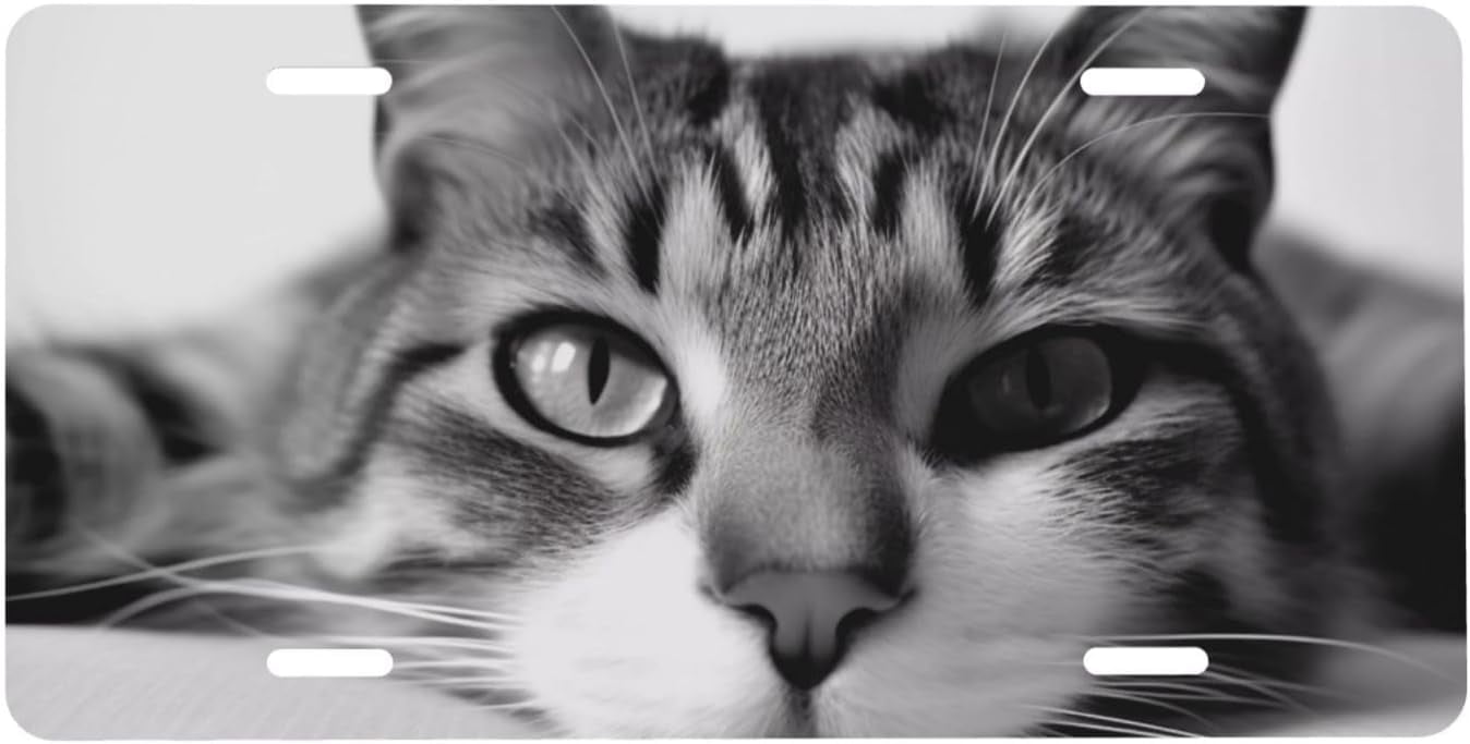 JUSIP Aluminum Alloy License Plate, A Cat Lying On A Blanket Printed ...