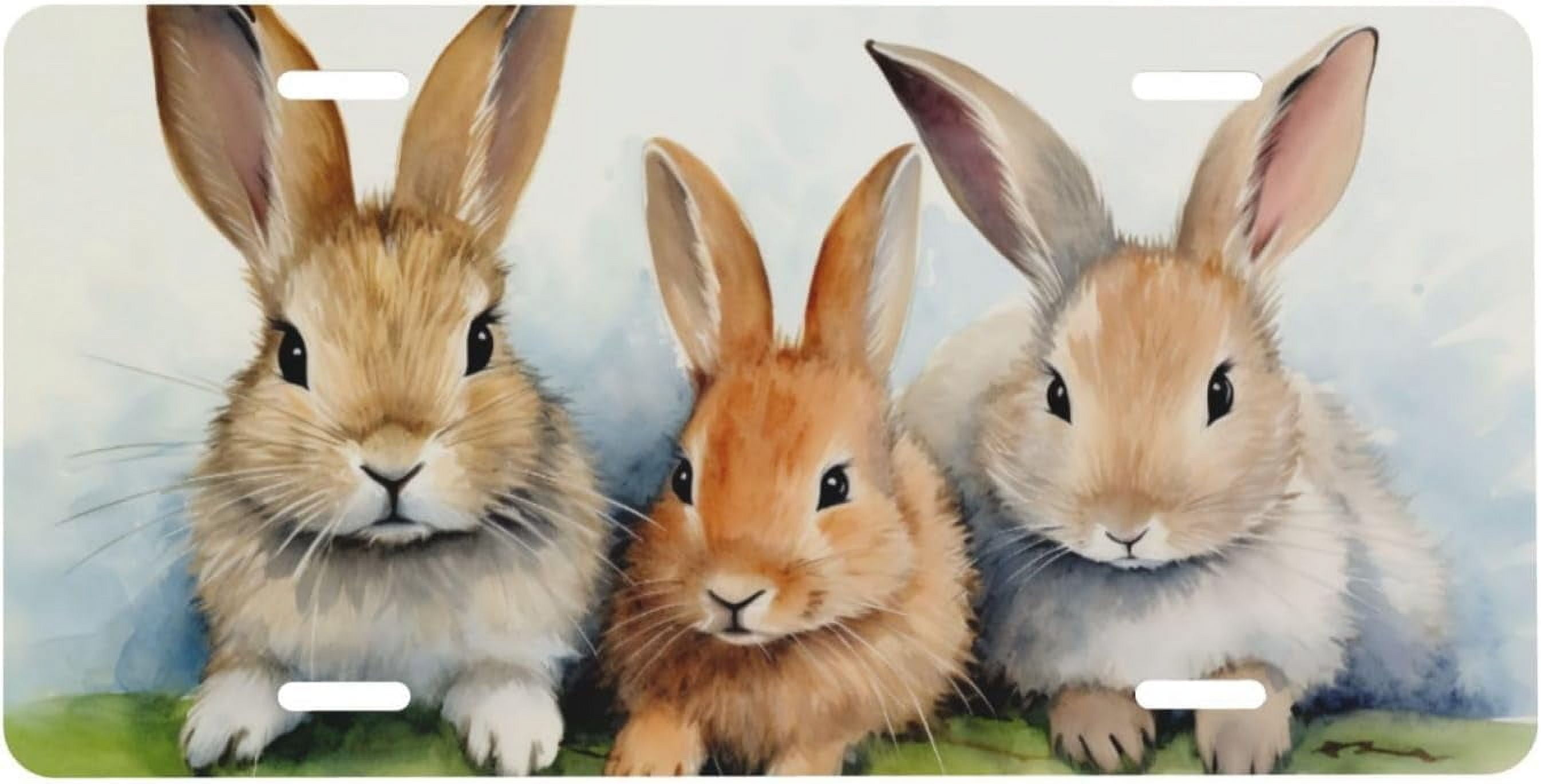 JUSIP Aluminum Alloy License Plate, Lovely Rabbits Printed Decorative ...