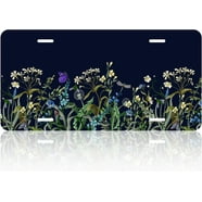 Equality Gay Lesbian Rights License Plate Tag Frame, Multiple Colors ...