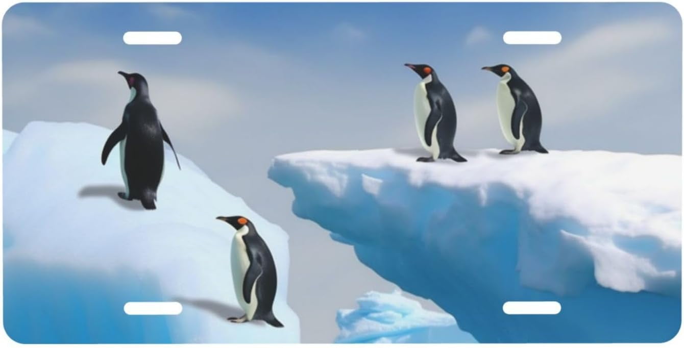 JUSIP License Plate for Front Car Penguins On The Iceberg Print ...