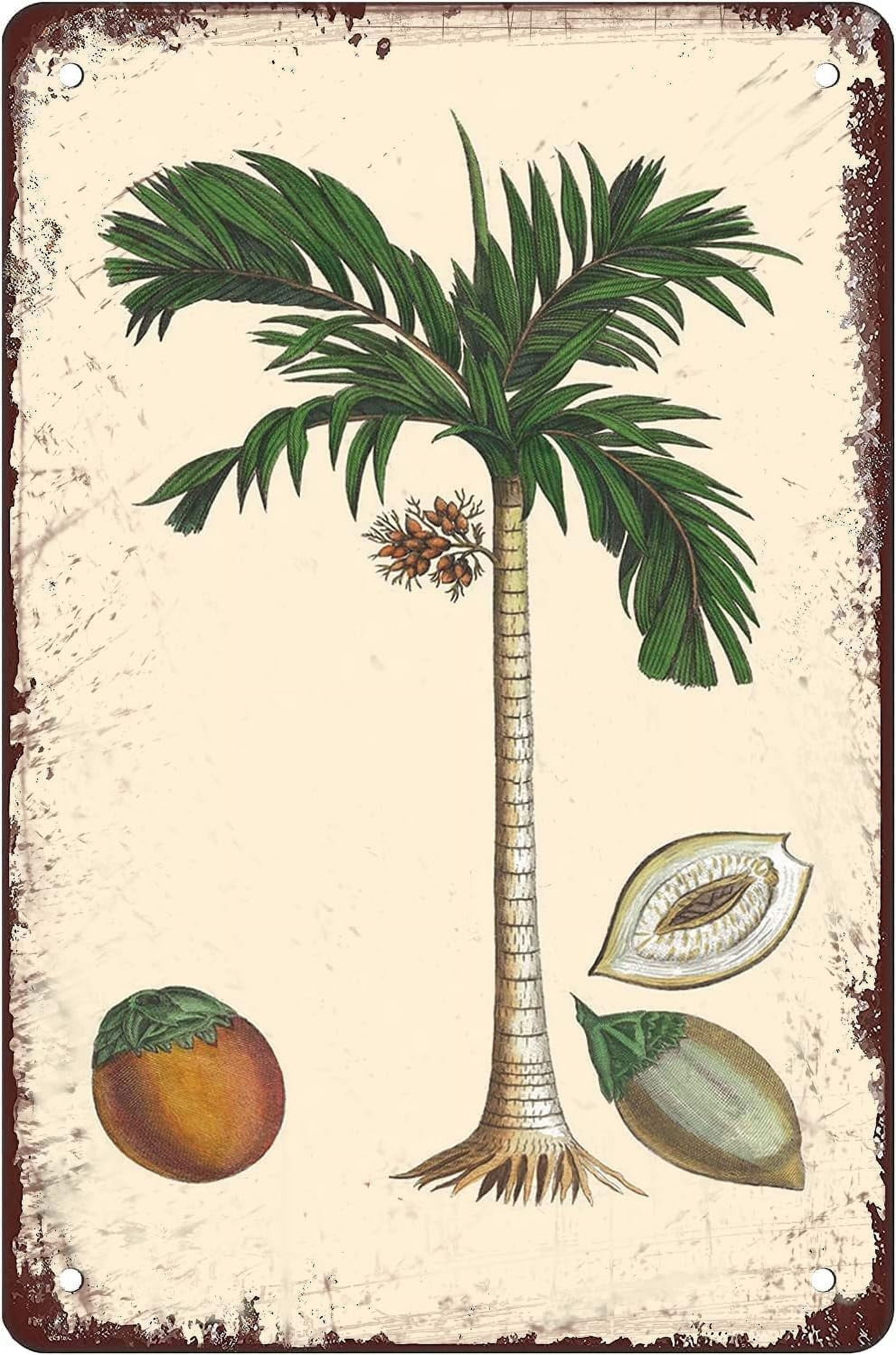 JUSIP Tropical Coconut Palm Tree Metal Thin Signs ForHome Decor and For ...