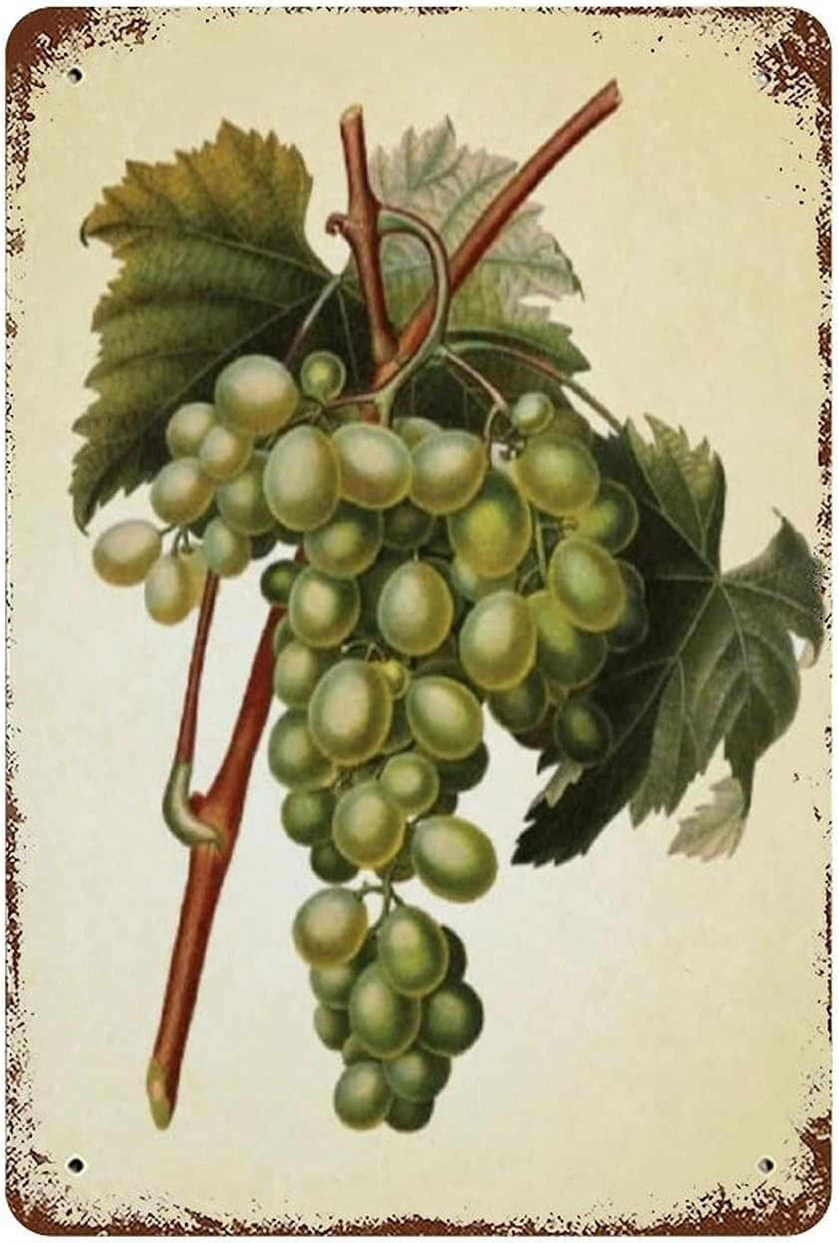 JUSIP Vintage Bright Grape Metal Thin Signs ForHome Decor and For ...