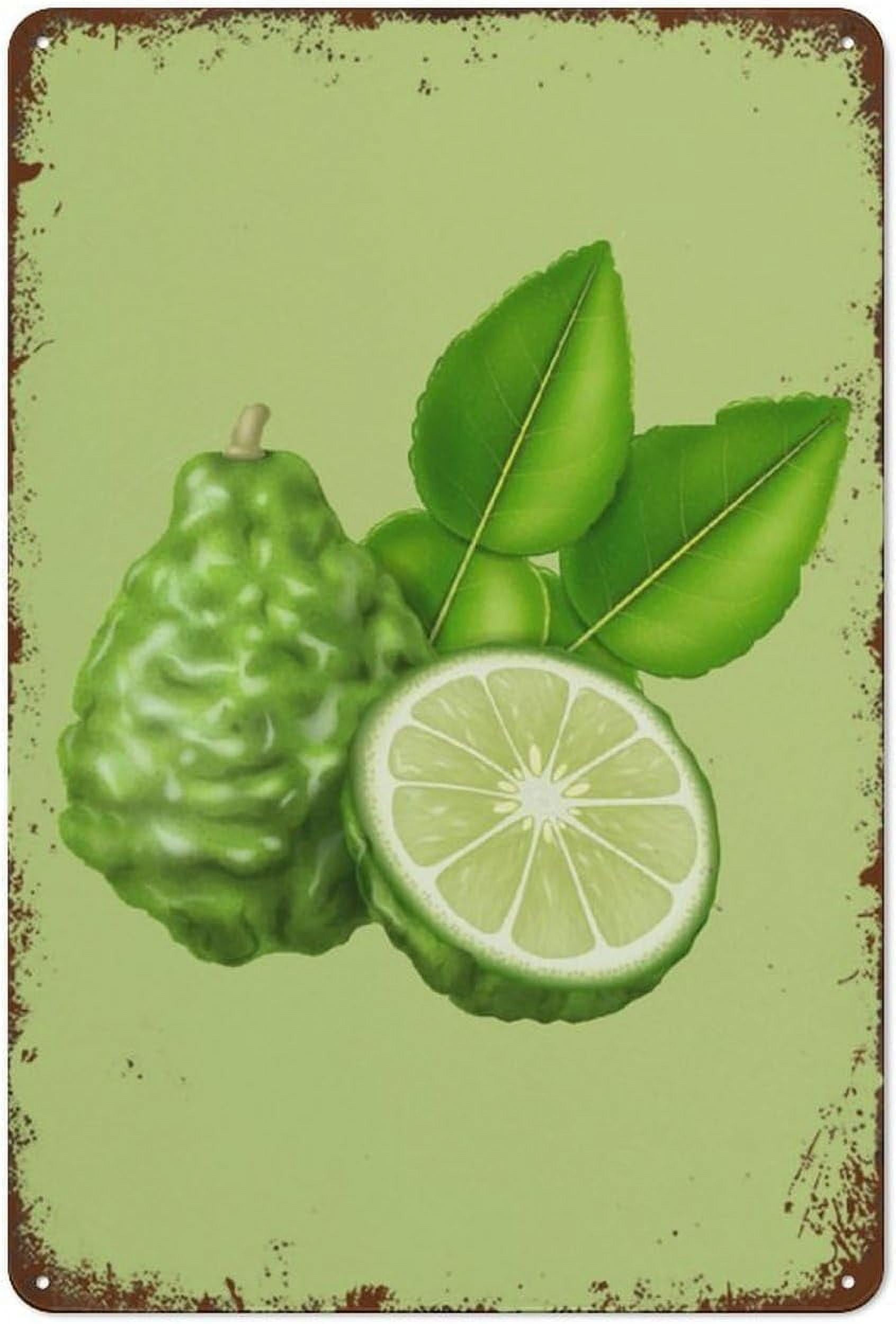 JUSIP Vintage Lime Poster Fruit Metal Thin Signs ForHome Decor and For ...