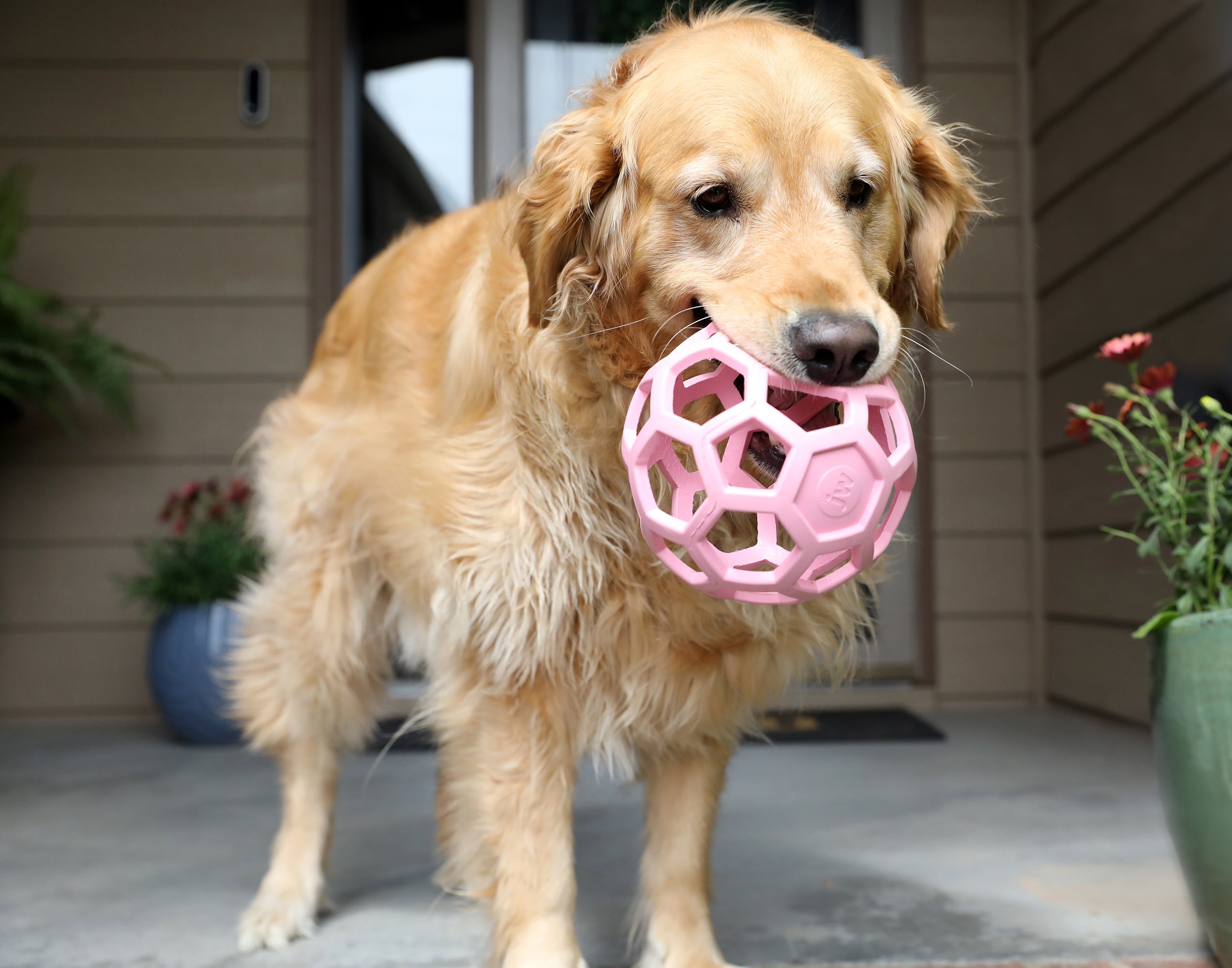 JW HOL-ee Roller™ Tug and Fetch Treat Dispenser Puzzle Ball Dog Toy ...