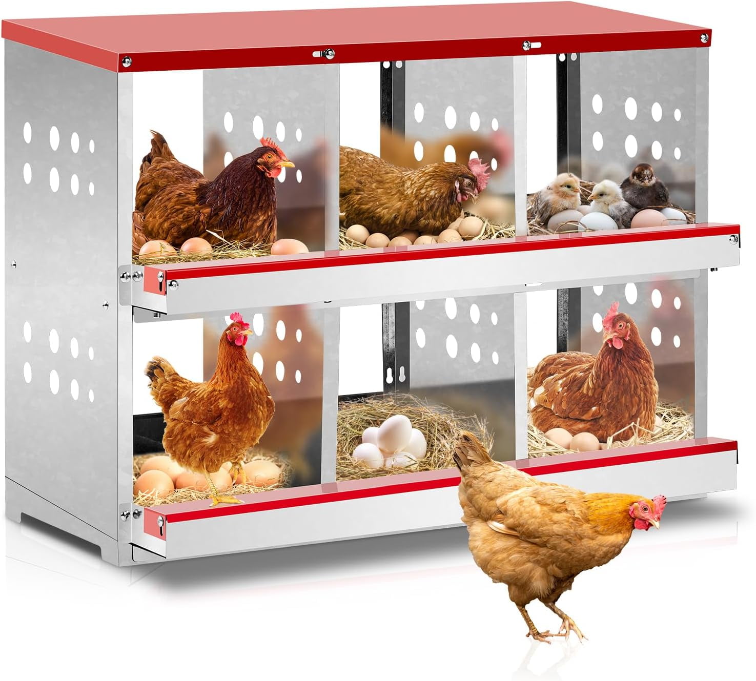 JWRWEF Chicken Nesting Box, 6 Compartments Roll Away Nesting Boxes, 6 ...