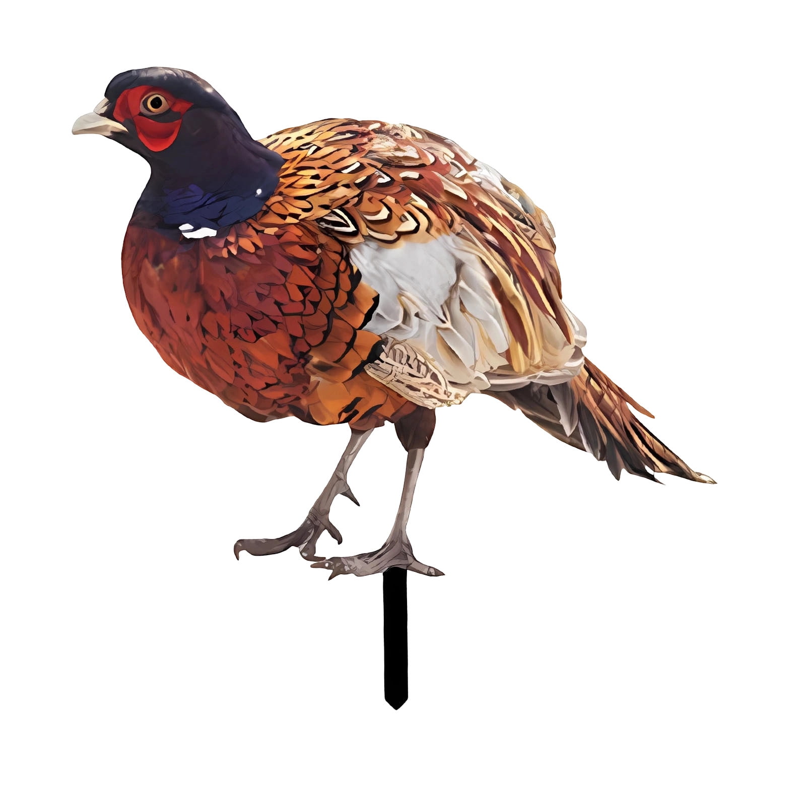 JWZZYD Pheasant Metal Garden Stake, Realistic Printed Bird Yard Art ...