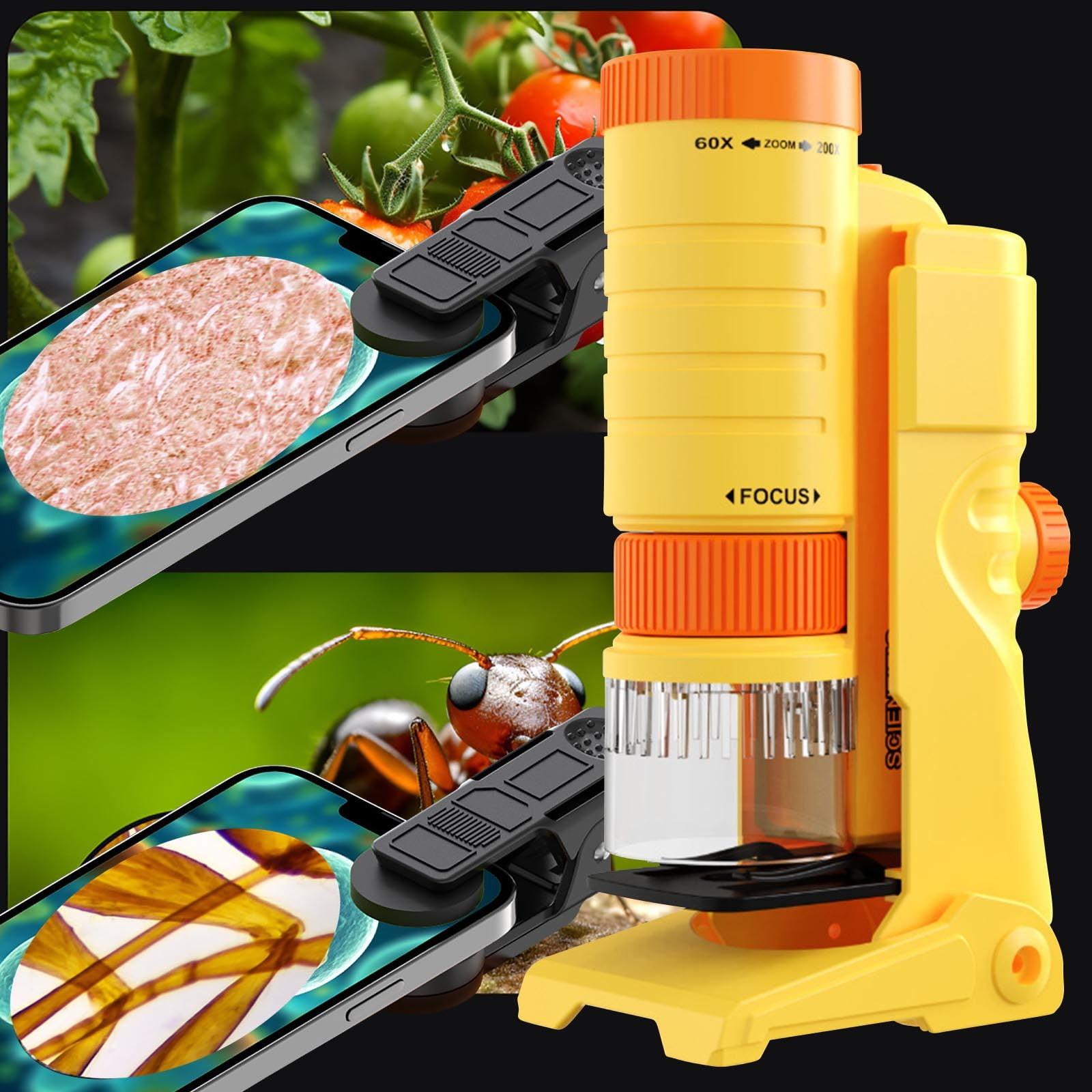 JWshufel Kids Portable Handheld 60X 200X Microscope Set Educational Toy ...