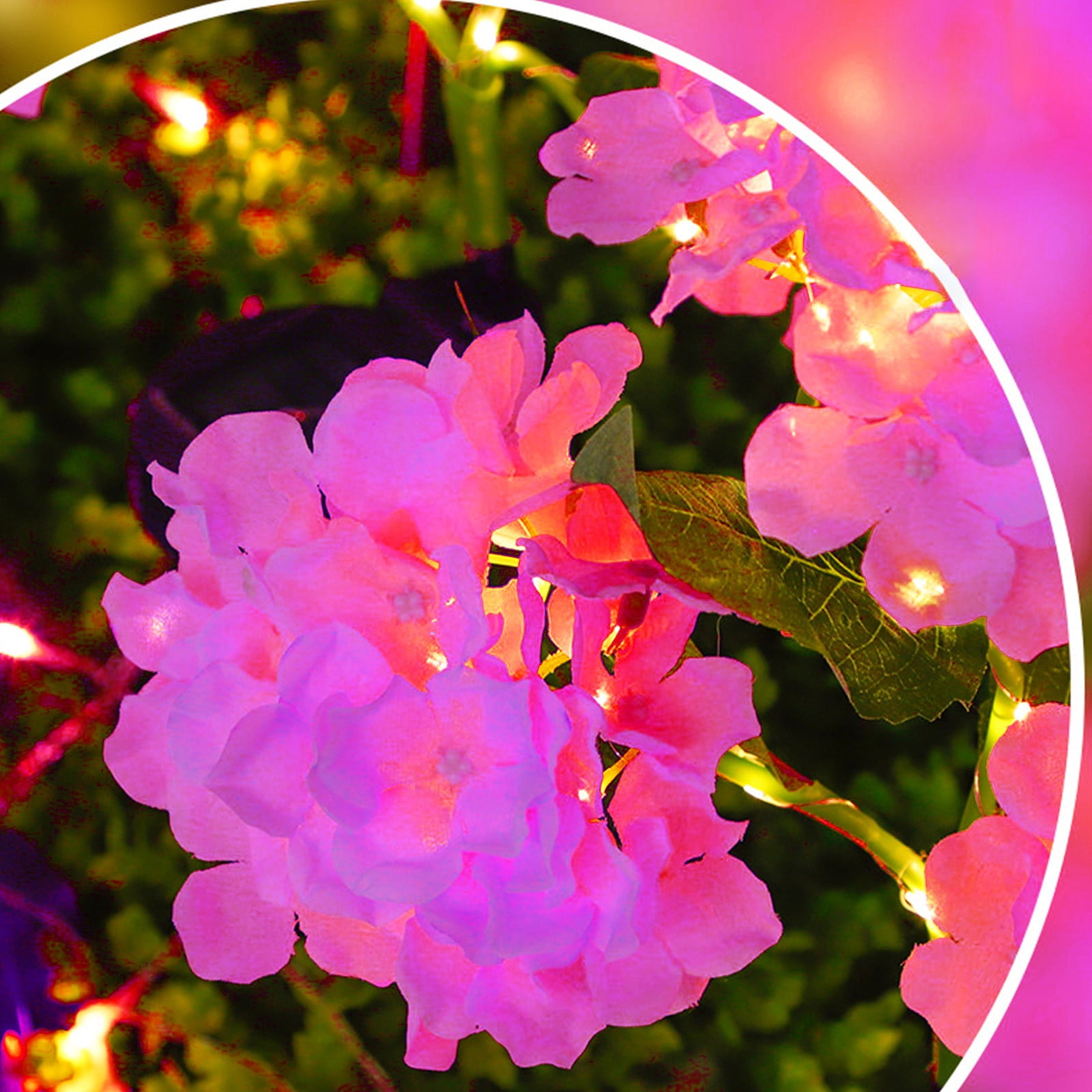 JWshufel Solar Powered Garden Stake Lights Weatherproof Wireless ...