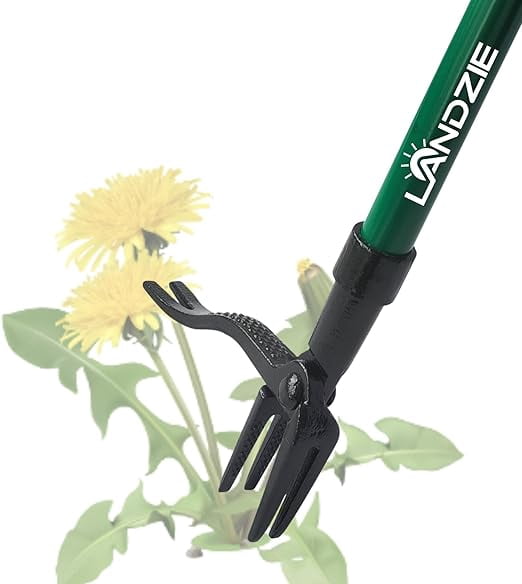 JYLP Landzie Stand Up Weed Puller, 55 Inch Long Handle Steel Weeder ...