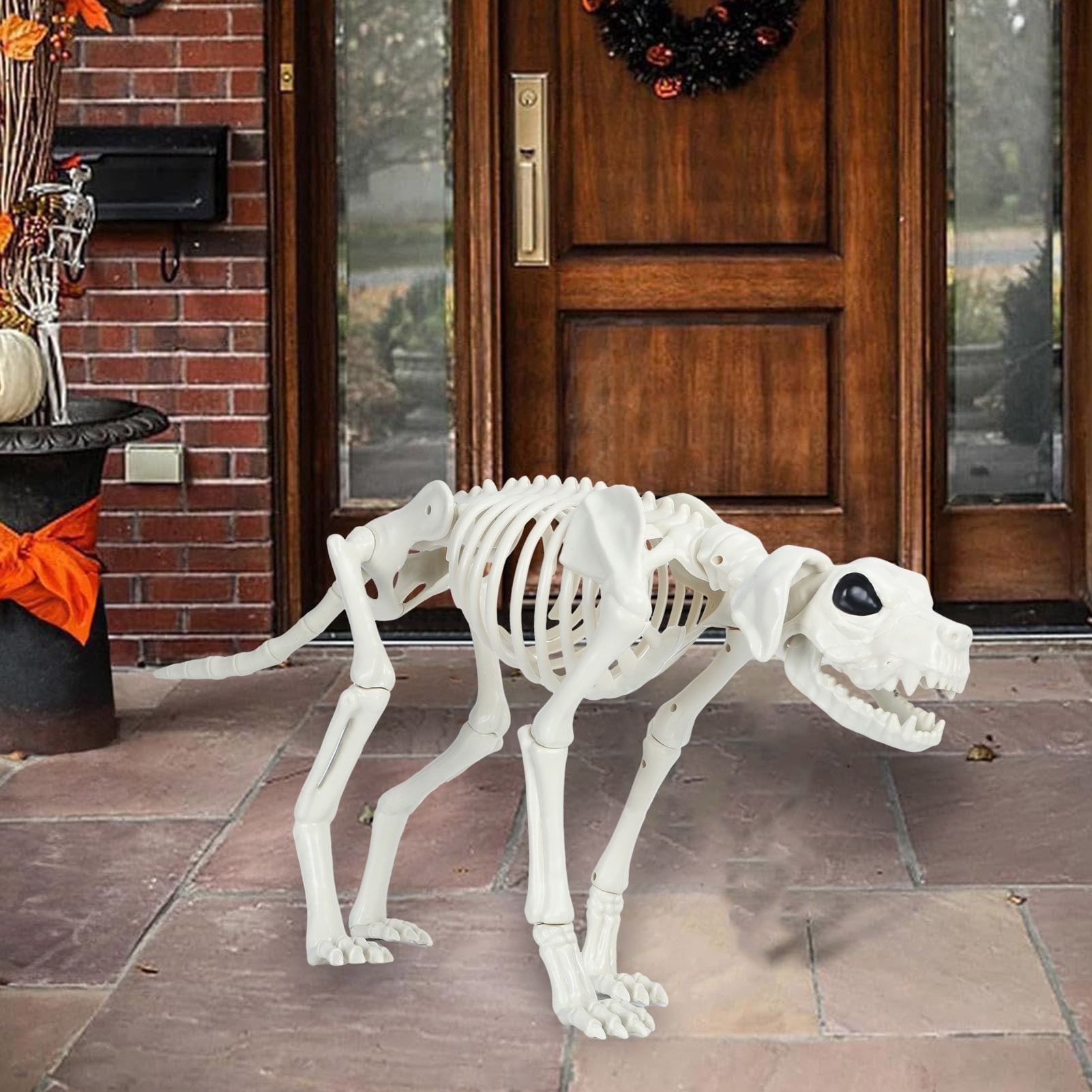 JYS Posable Halloween Dog Skeleton Full Body Posable Joints Skeleton ...