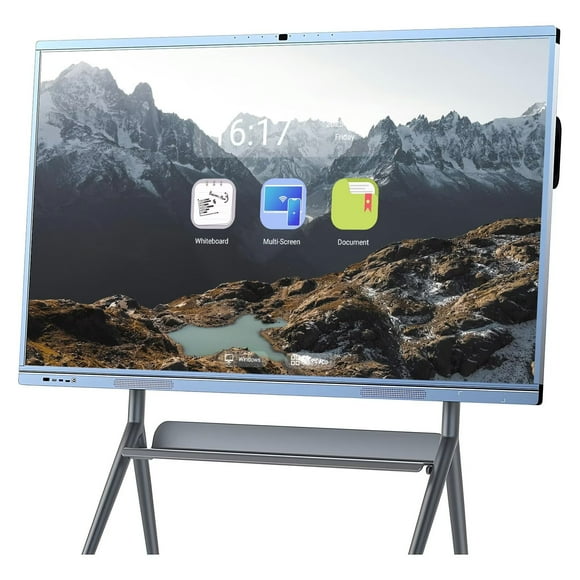 65 Led Monitor