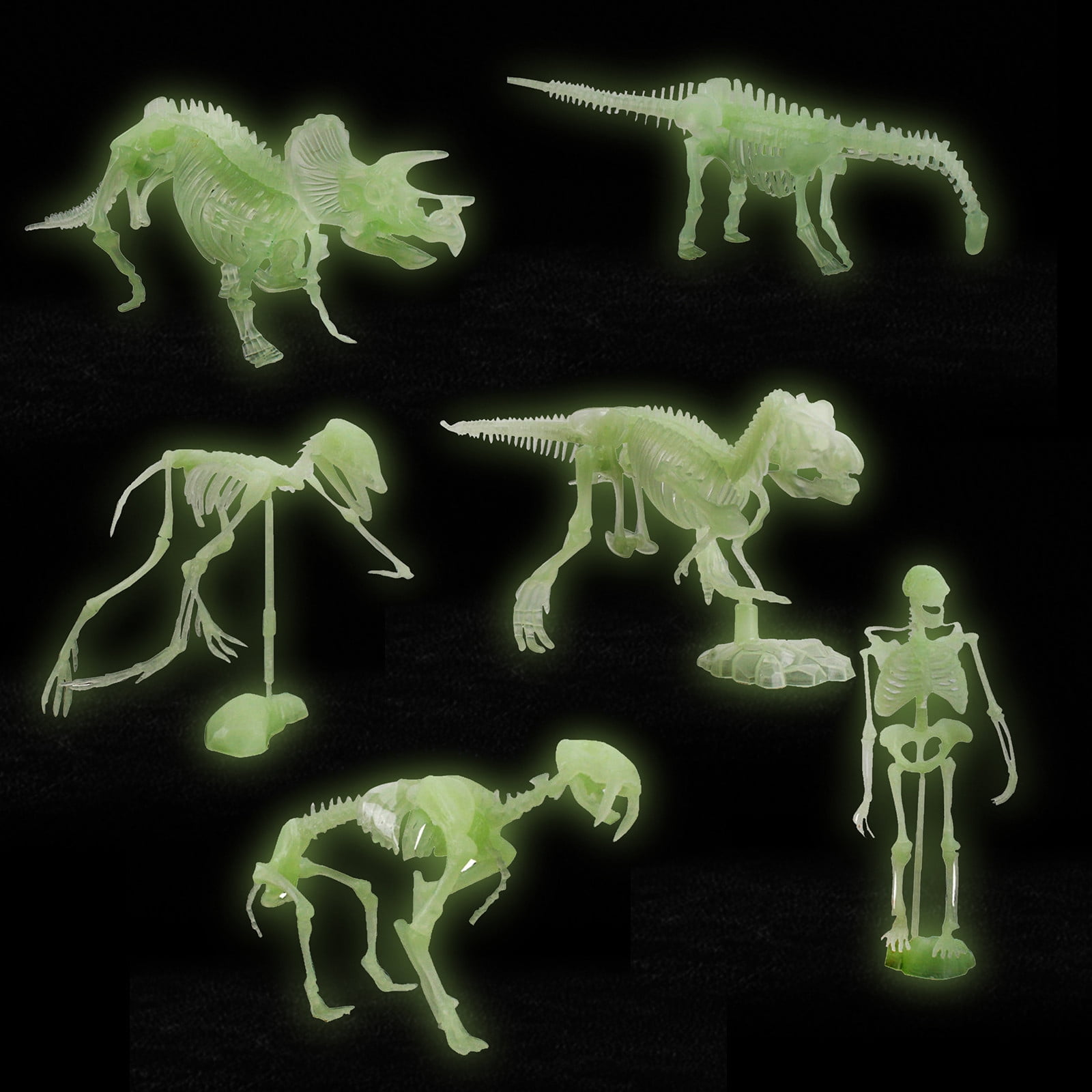 JZCHUNTOY 6 - Piece Noctilucent Dinosaur & Human Skeleton Model Set ...