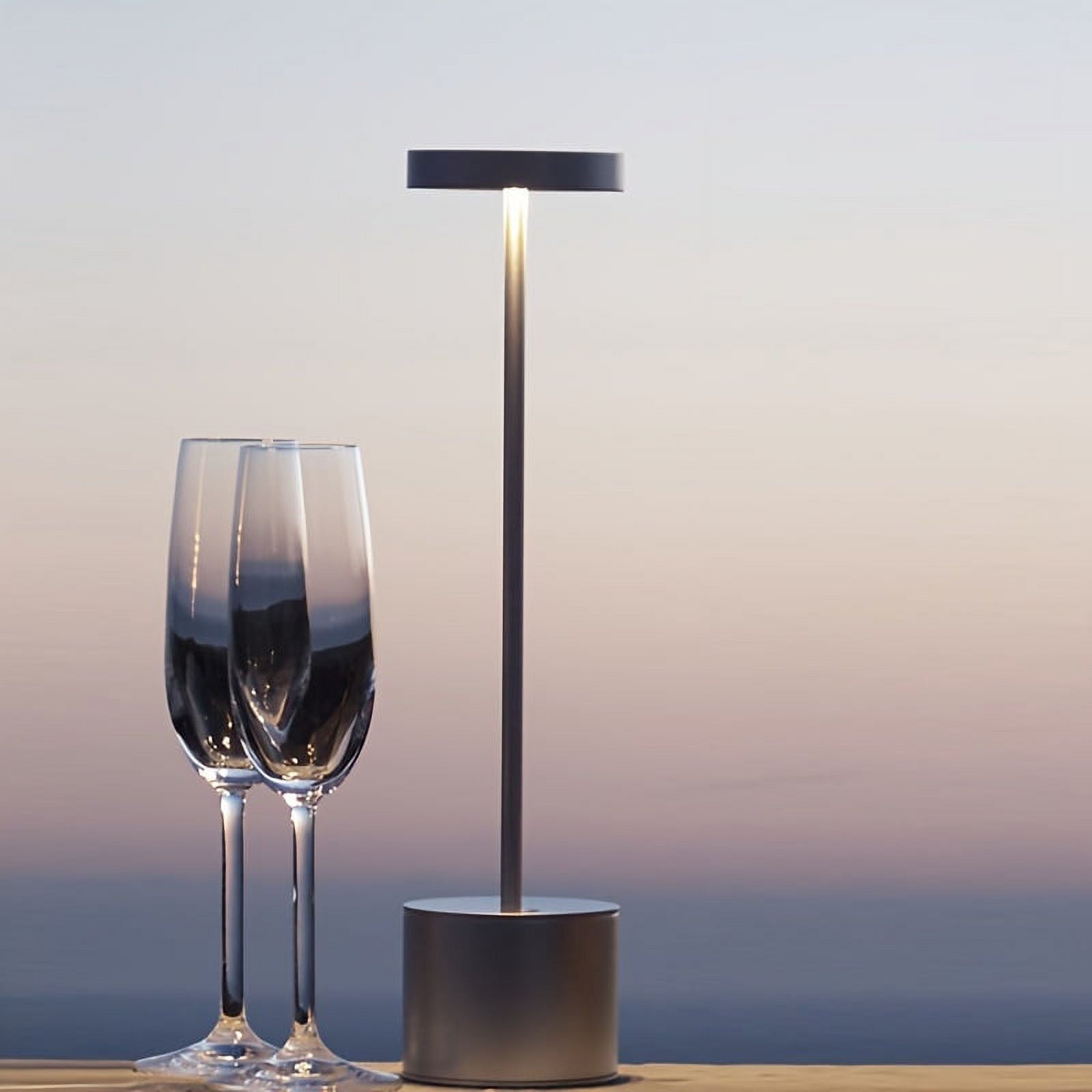 JZLSWL Luxurious Metal Finish LED Desk Lamp with USB Rechargeable ...