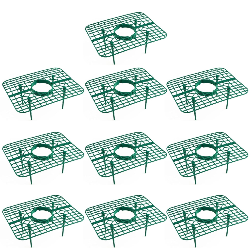 JZROCKER 10Pcs Strawberry Plant Strawberry Growing Rack Strawberry ...