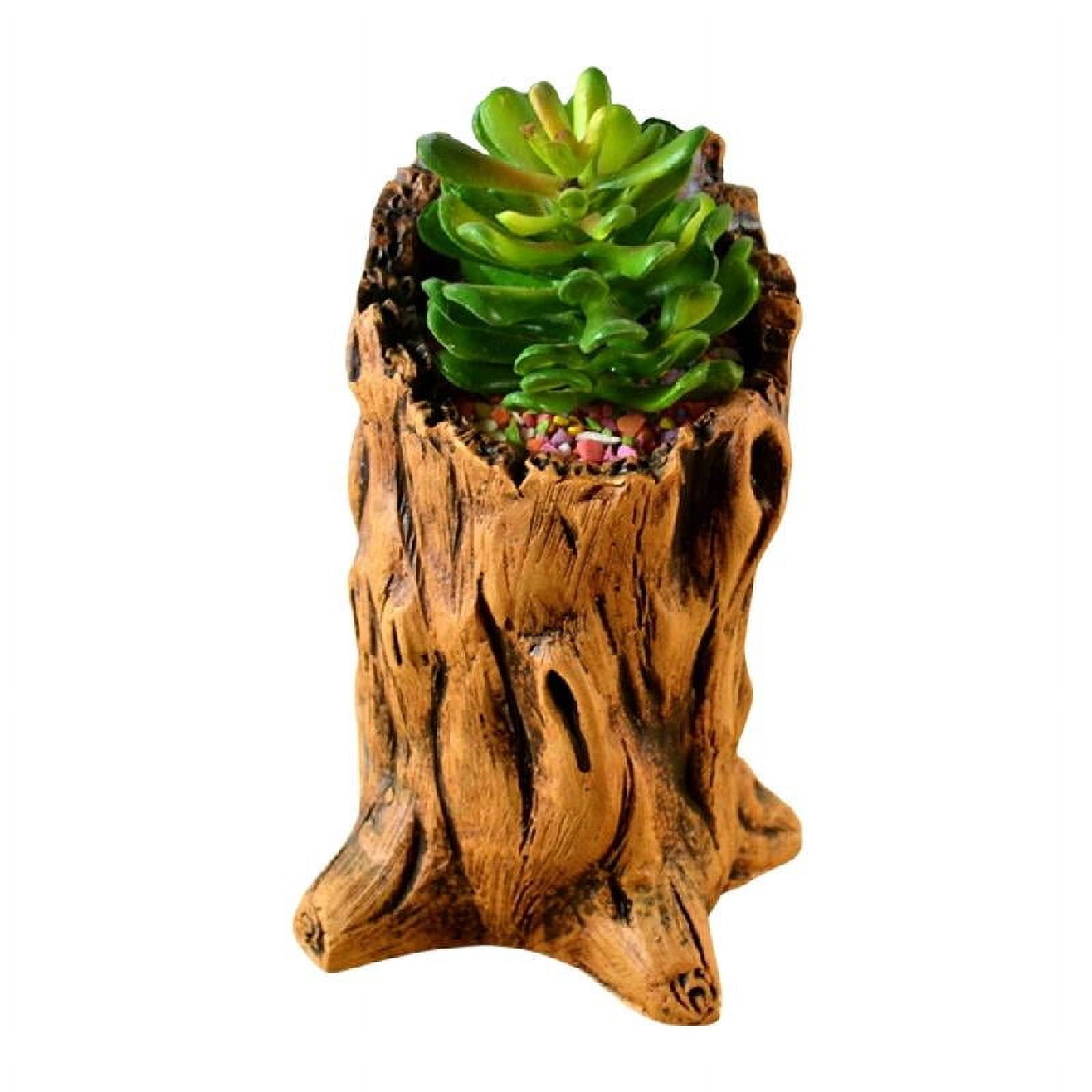 JZROCKER Decorative Concrete Succulents Planter Cement Flowerpots ...
