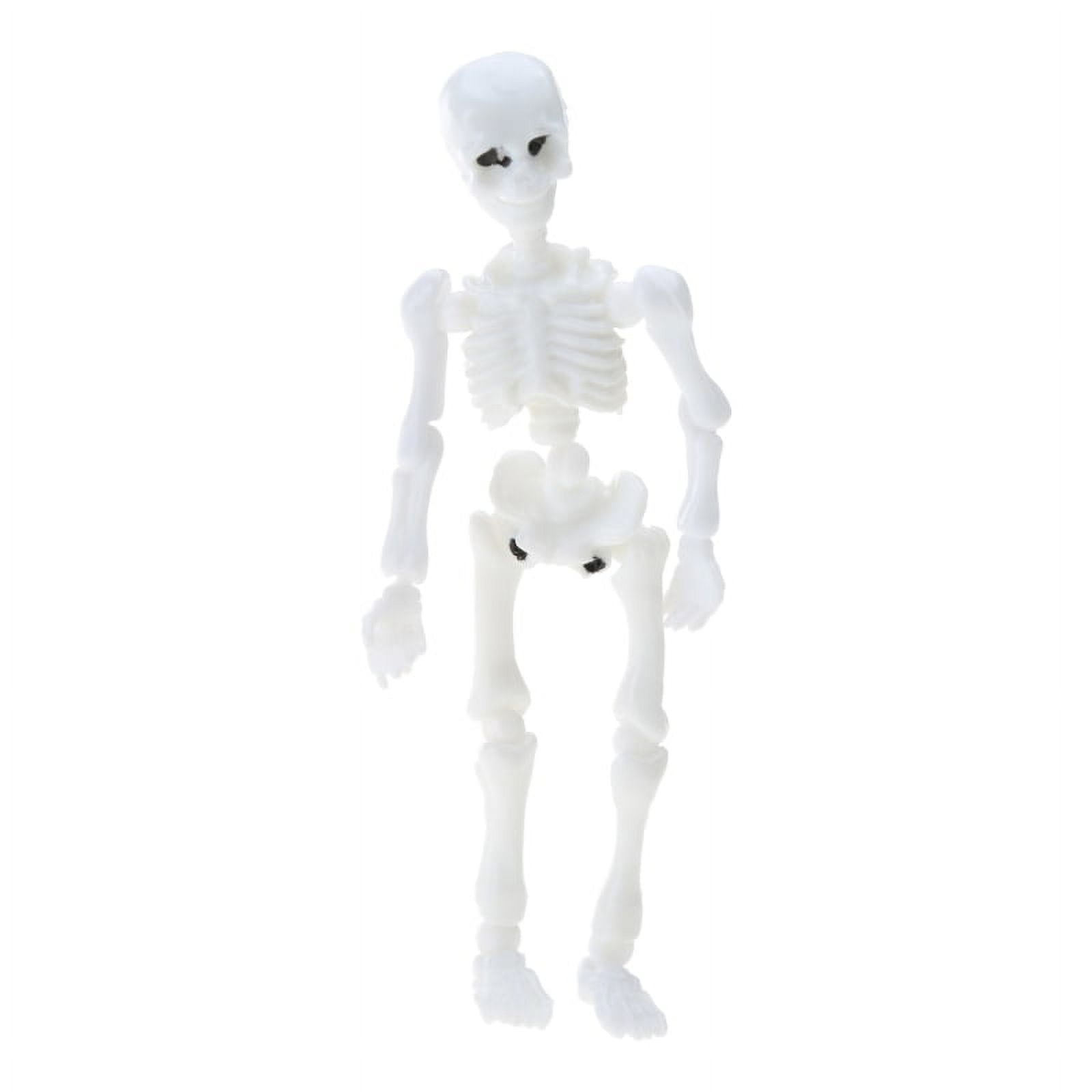 JZROCKER Movable Mr. Bones Skeleton Human Model Skull Full Body Mini ...