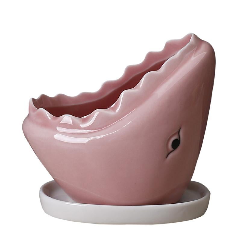 JZROCKER Succulent Planter with Drainage Tray Ceramic Cactus Flower ...