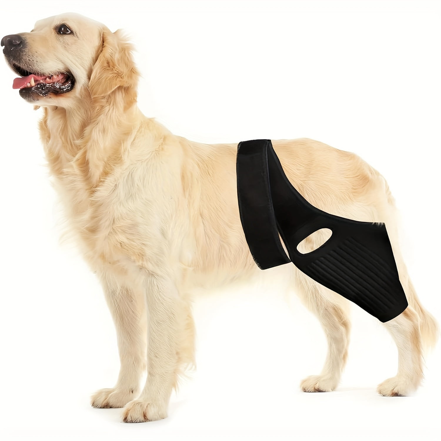 JZSHICHAOCAR Comfortable Adjustable Canine Rear Leg Brace for ACL Hip ...