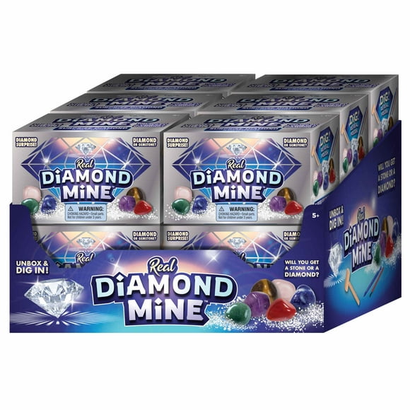 Gemstone Dig Kit