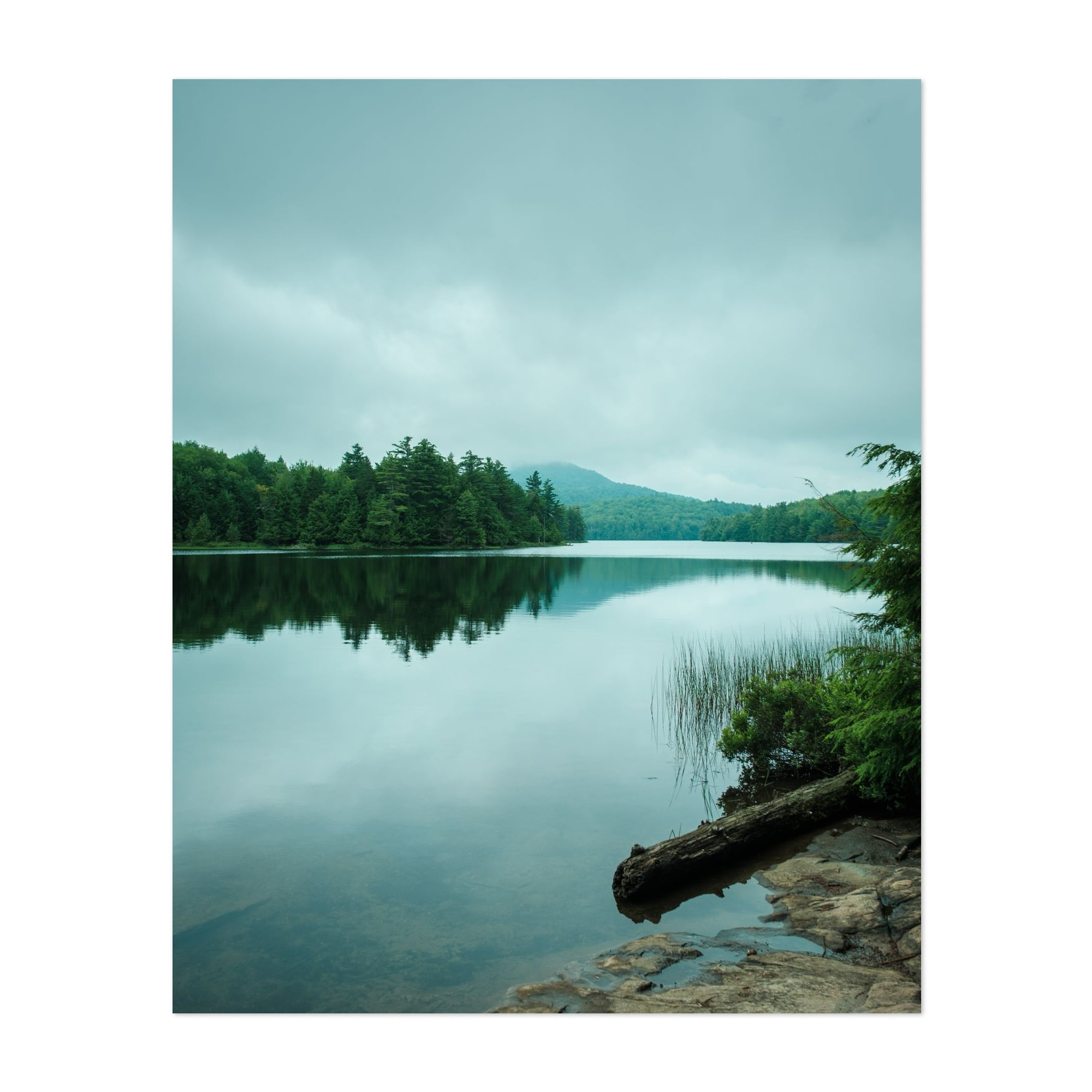 Jabe Pond 02 - New York Photography Nature Forest Landscape Scenic ...