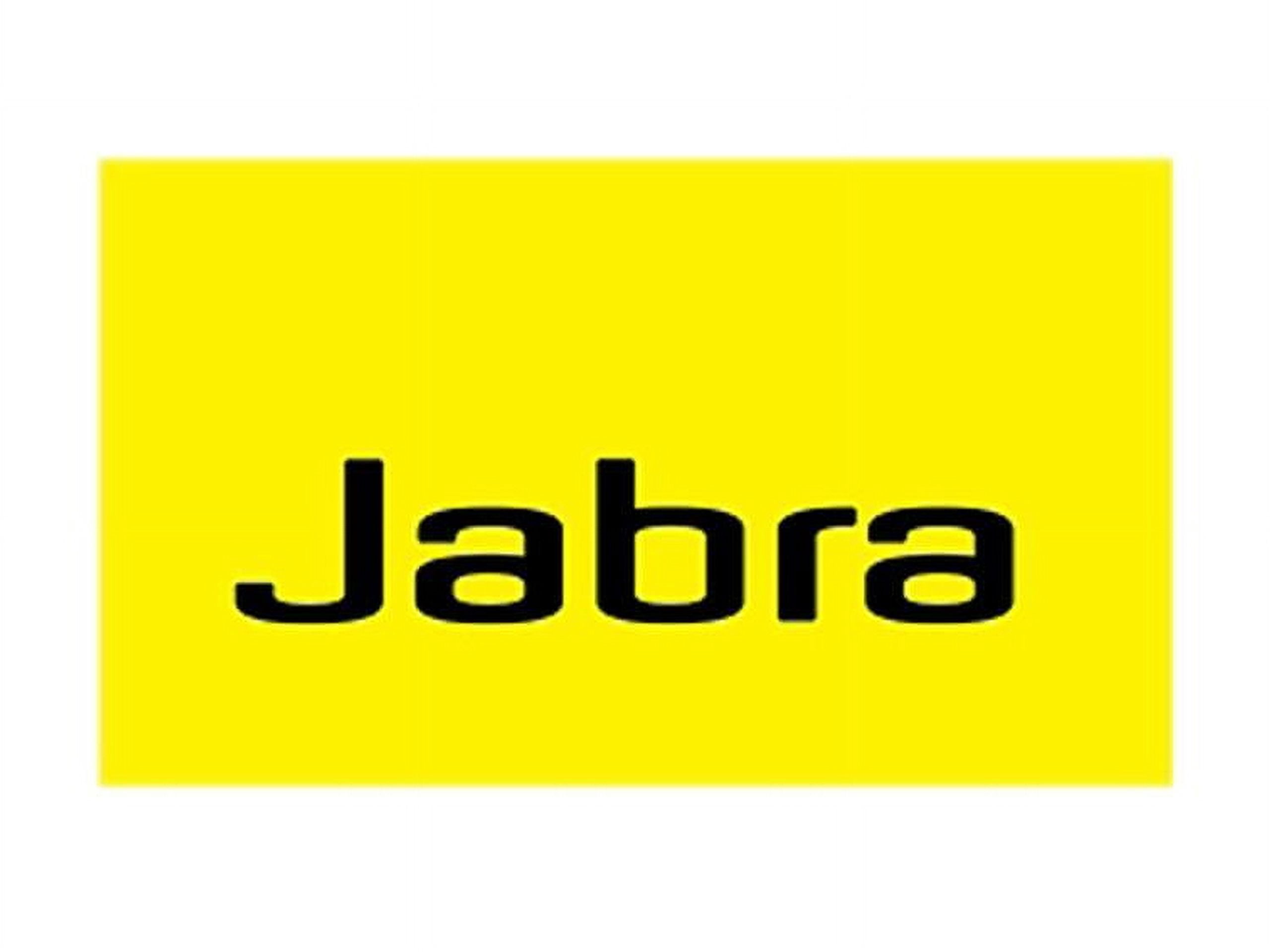Jabra GN1216 Coiled Audio Cable Adapter - Walmart.com