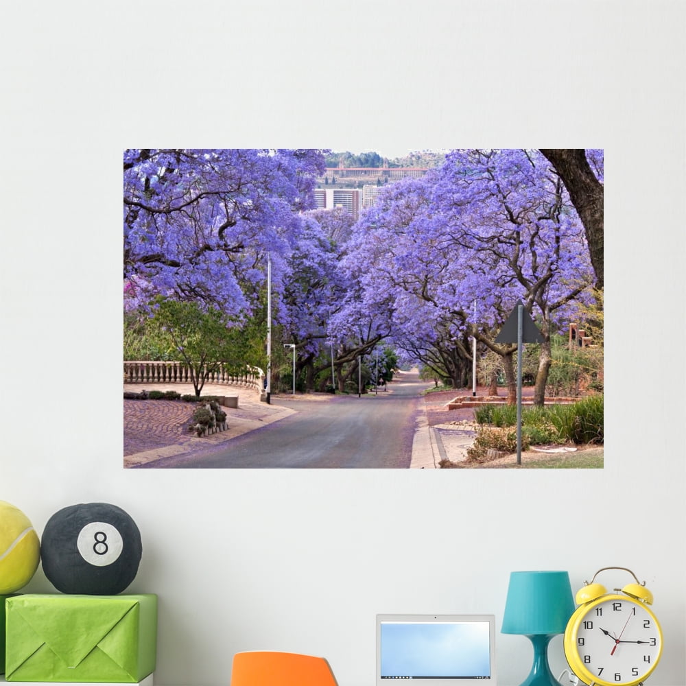 Jacaranda Trees Wall Decal by Wallmonkeys Peel and Stick Graphic (48 in ...