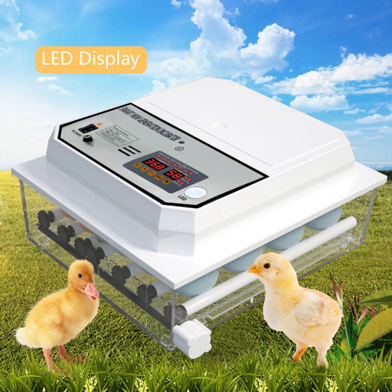 Jacgood 36 Digital Egg/Duck/Incubator Hatcher Temperature Control ...