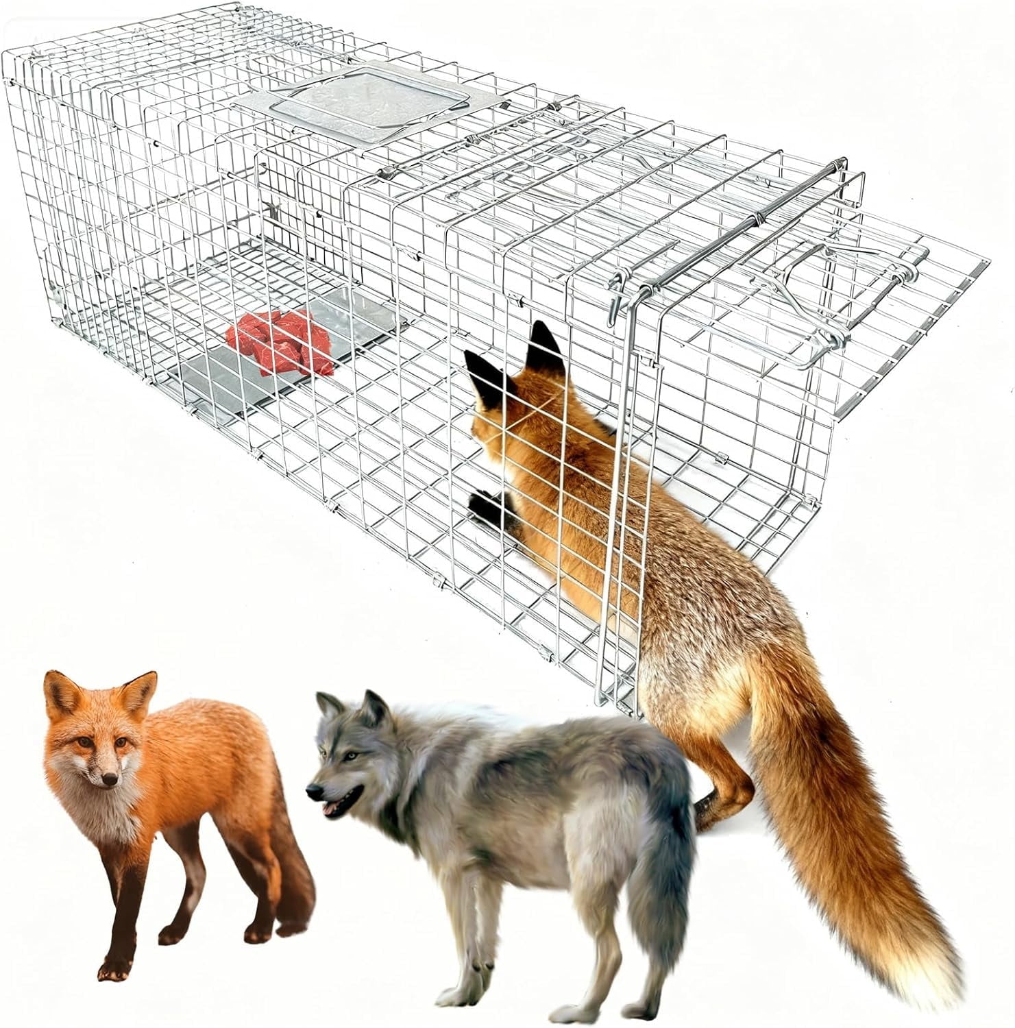 Jacgood Live Animal Trap Cage, 59 x 19.7 x 21.7in Catch and Release ...