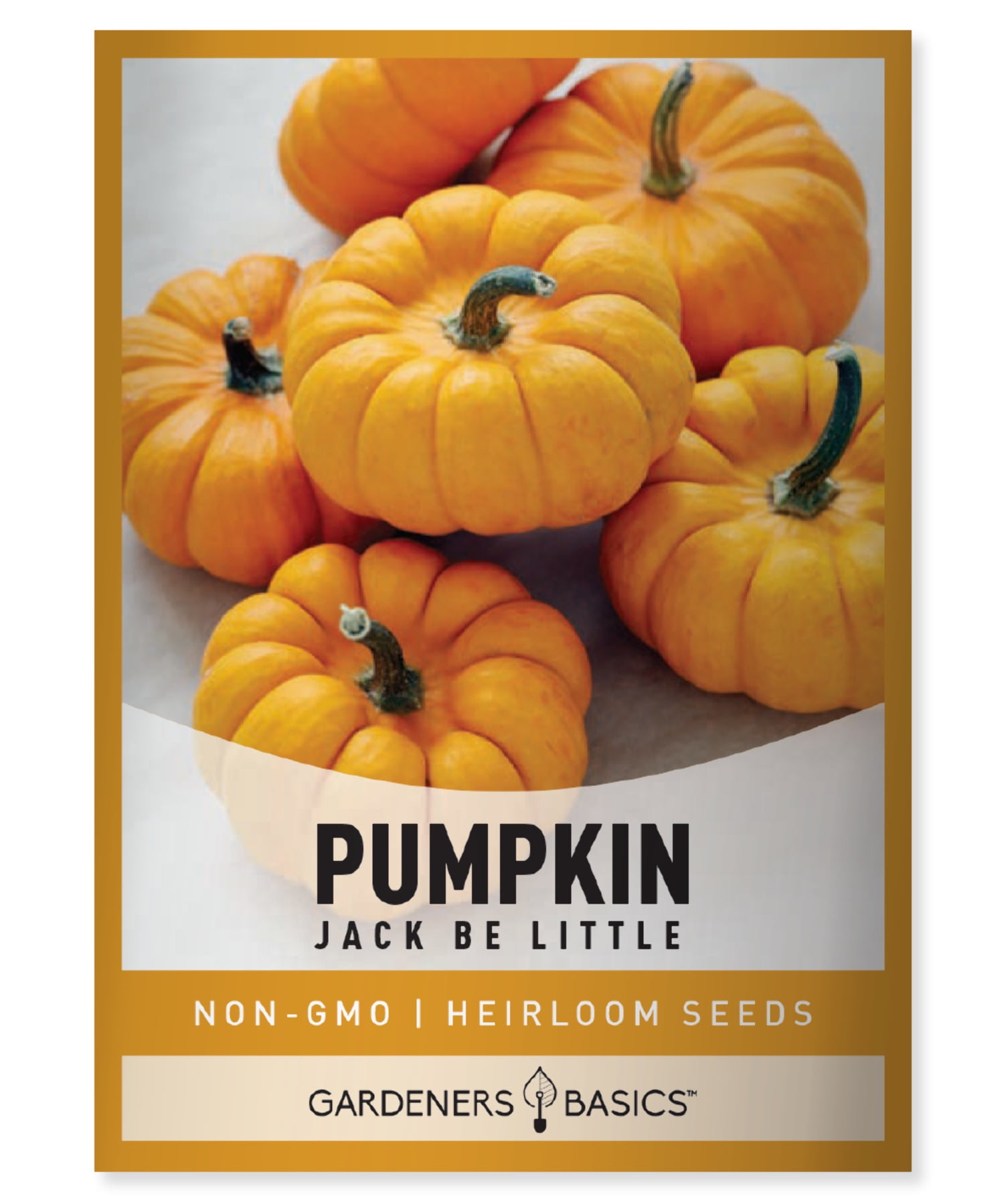 Jack Be Little Pumpkin Seeds - Walmart.com