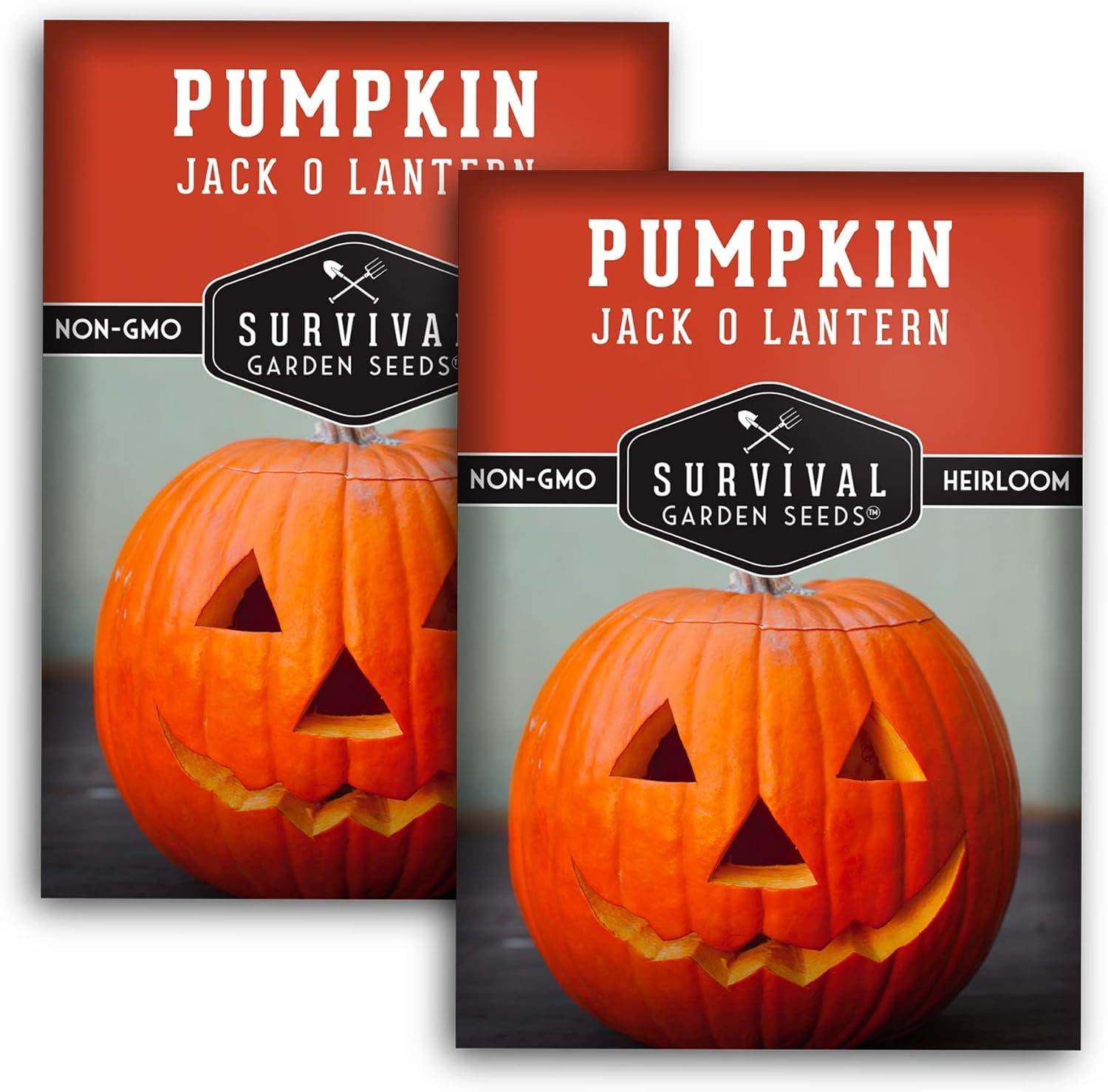 - Jack-O-Lantern Pumpkin Seed for Planting - 2 Packs with Instructions to Plant and Grow Orange ...