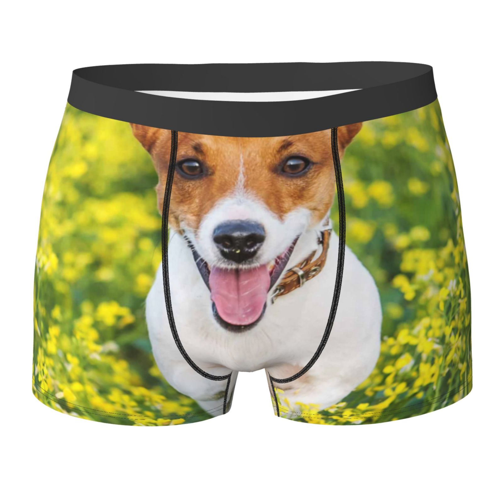 Jack Russell Flower Meadow Underwear For Men,Soft Boxer Briefs ...
