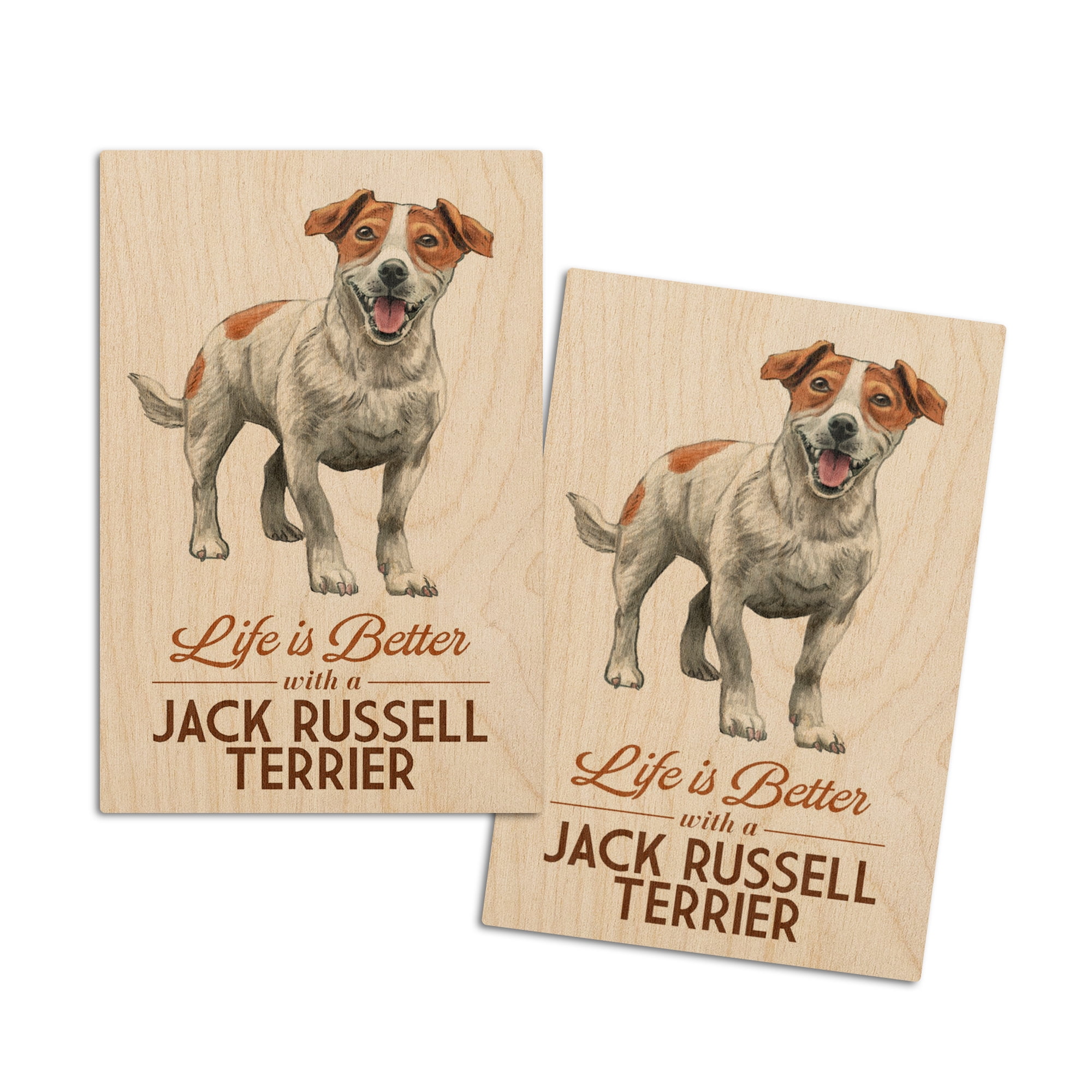 Jack Russell Terrier, Life is Better, White Background (4x6 Birch Wood ...