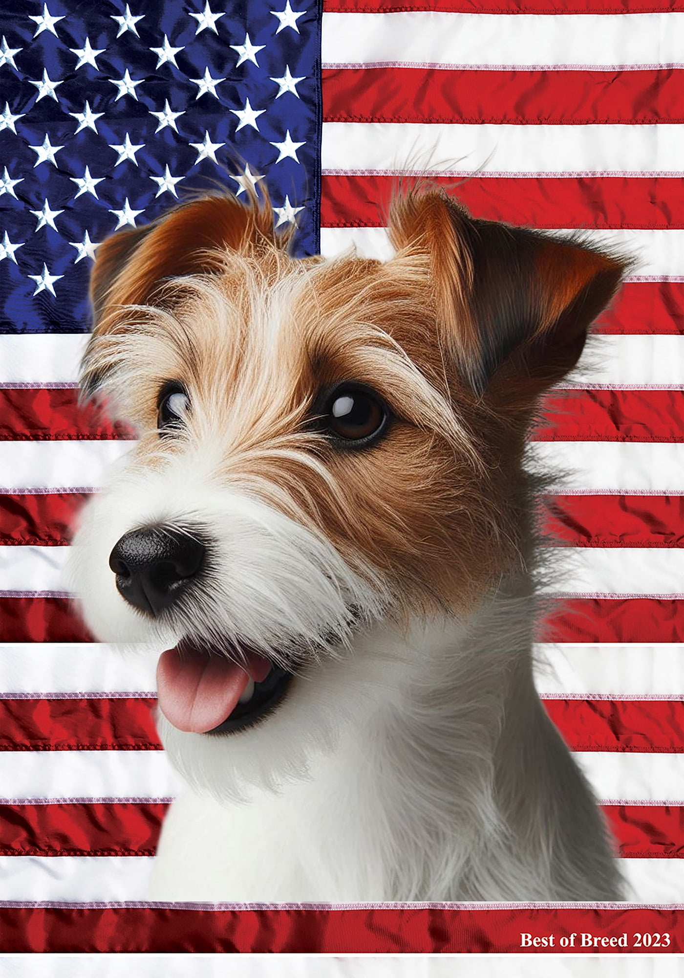 Jack Russell Wirehaired - Best of Breed All-American Patriotic III ...