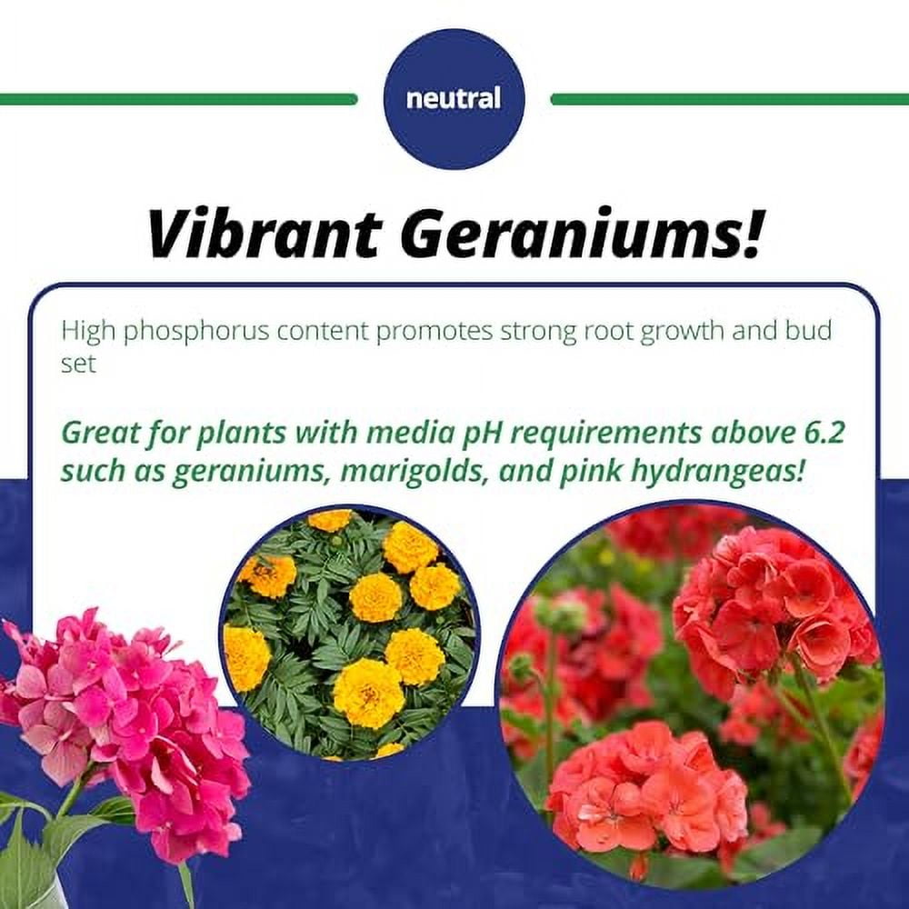 Jack's Professional 15-15-15 Geranium Water-Soluble Fertilizer with ...