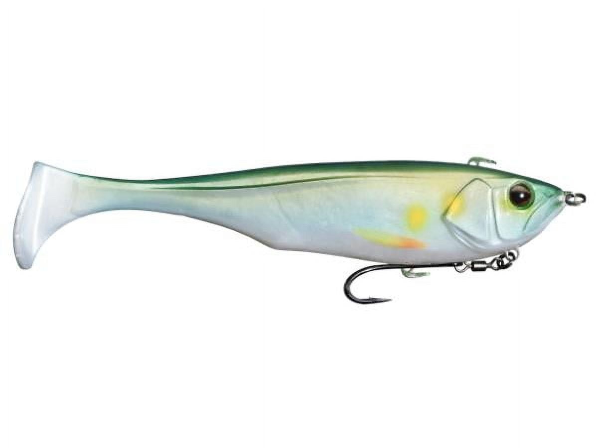 Jackall Fishing DUNKLE 7.0 NATURAL AYU Soft Swim Baits [JDUNK7-NA ...