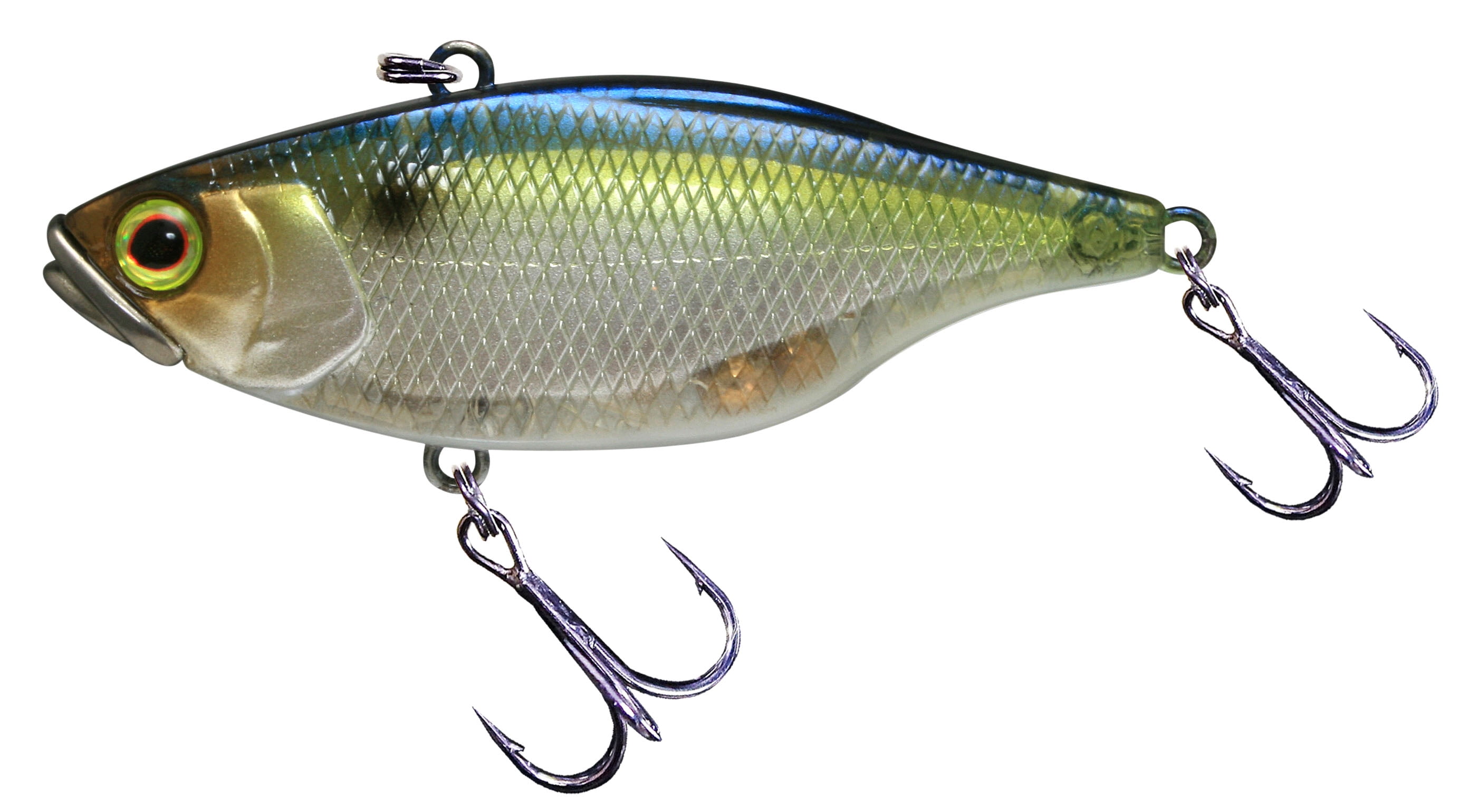 Jackall Fishing TN60 DK SG THREADFIN SHAD Lipless Crank Baits [JTN60DK ...