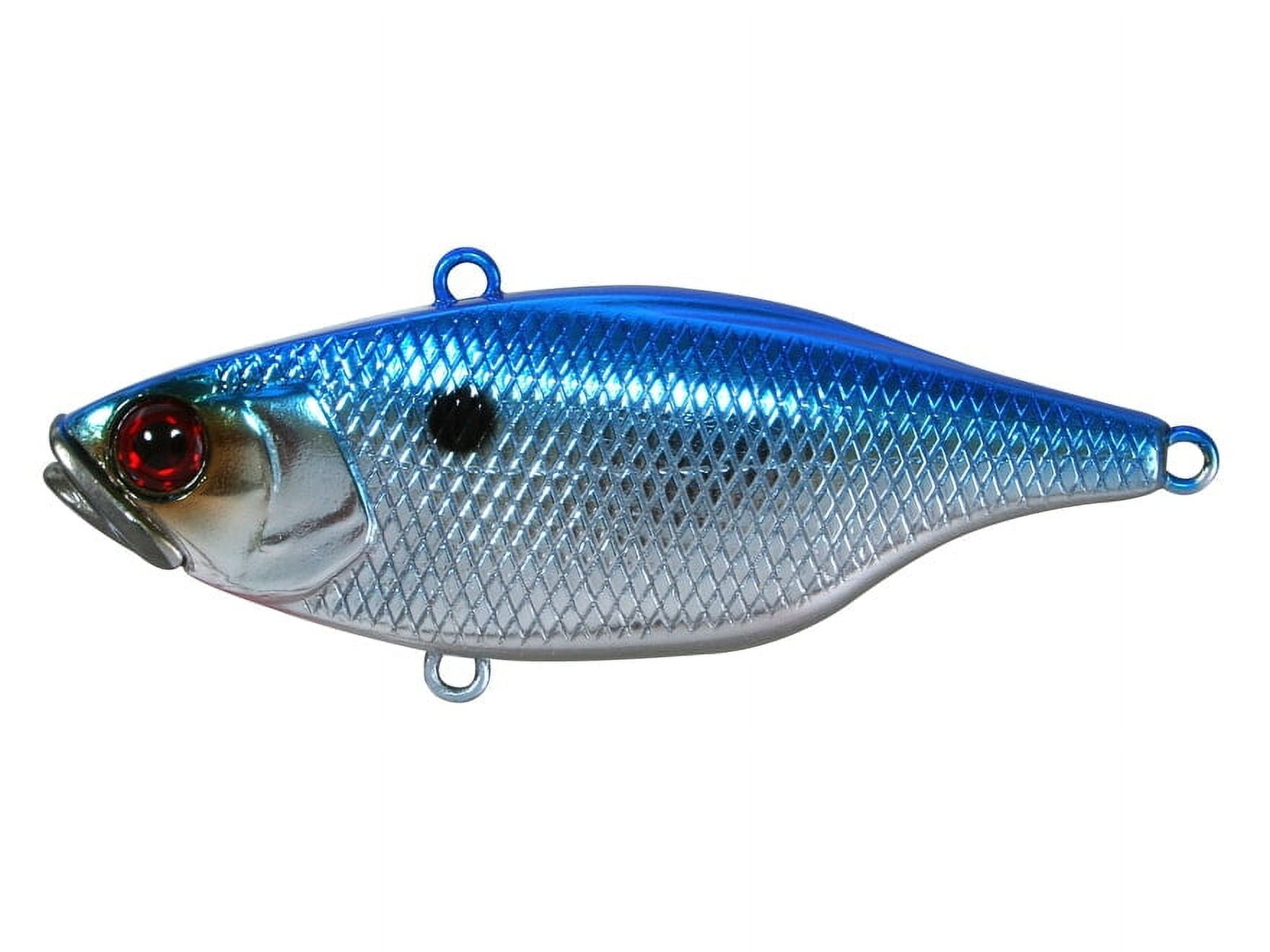 Jackall Fishing TN60 HL BLUBACK CHROME Lipless Crank Baits [JTN60-HLBCR ...
