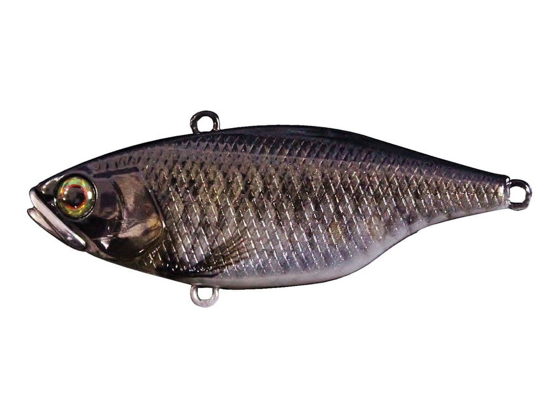 Jackall Fishing TN60 RT Scale MINNOW Lipless Crank Baits [JTN60-RTSM ...